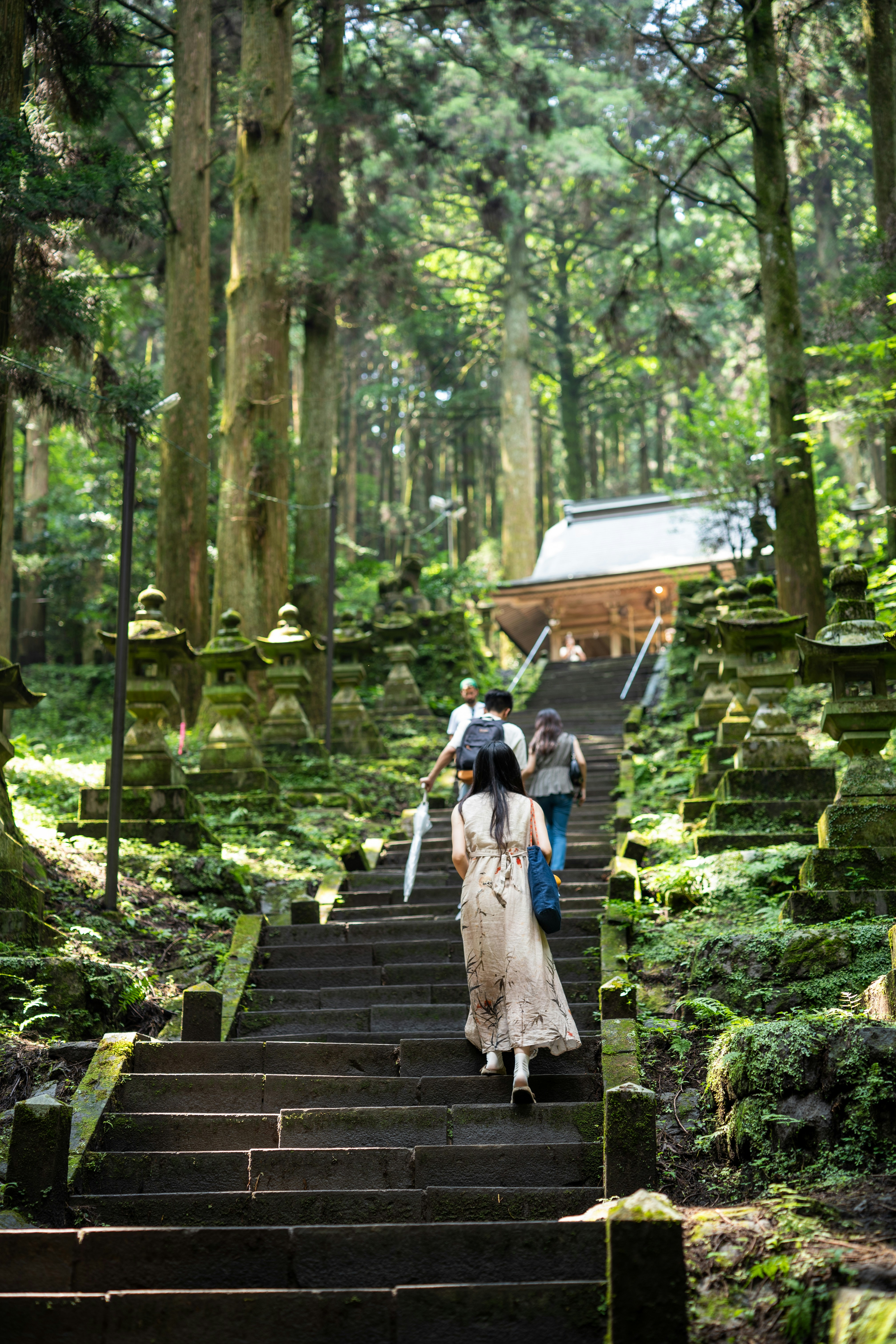 Visitors ascend moss-covered stone steps leading to a serene temple, surrounded by towering trees and soft sunlight filtering through the leaves.