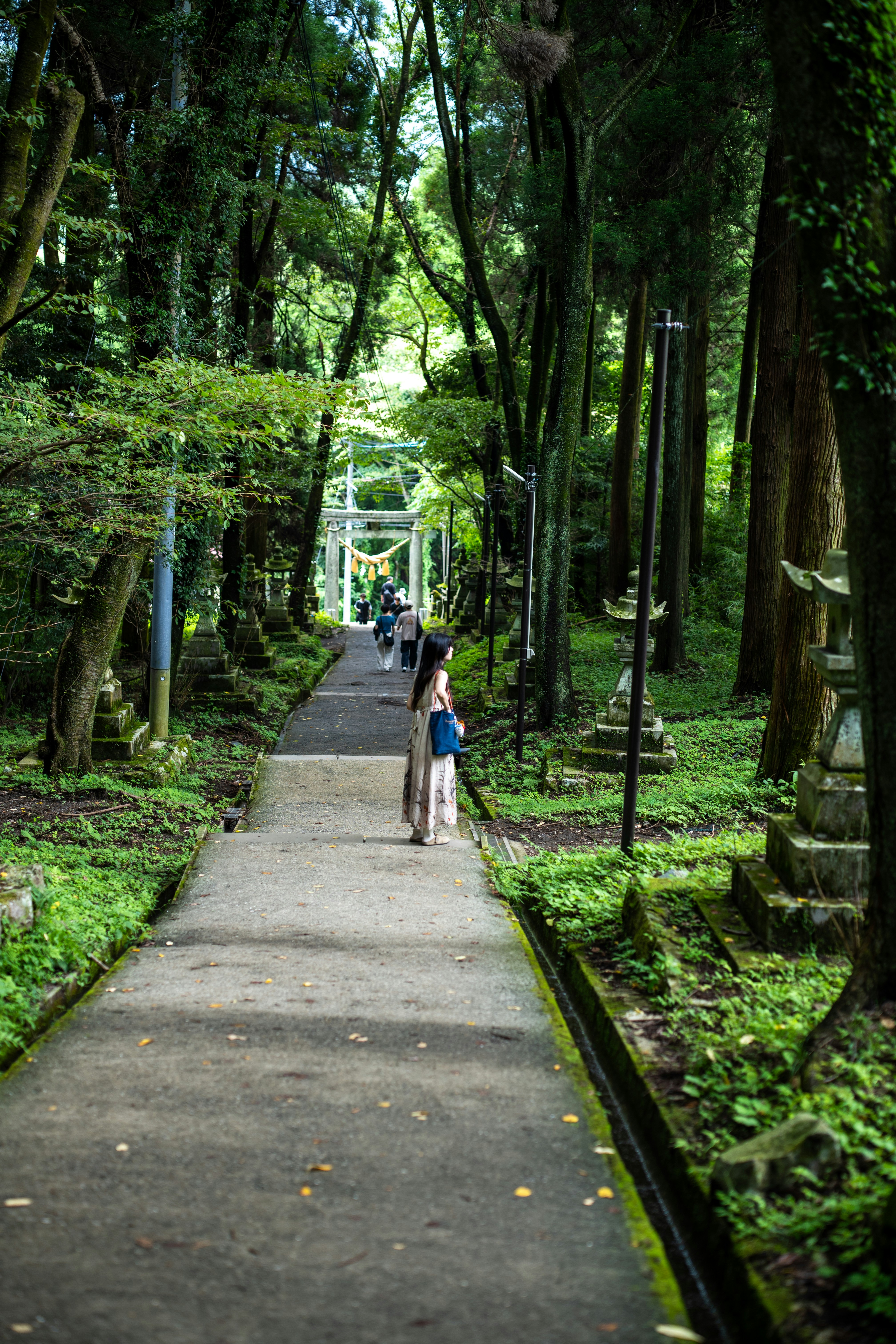 Woman walking on path through lush green forest