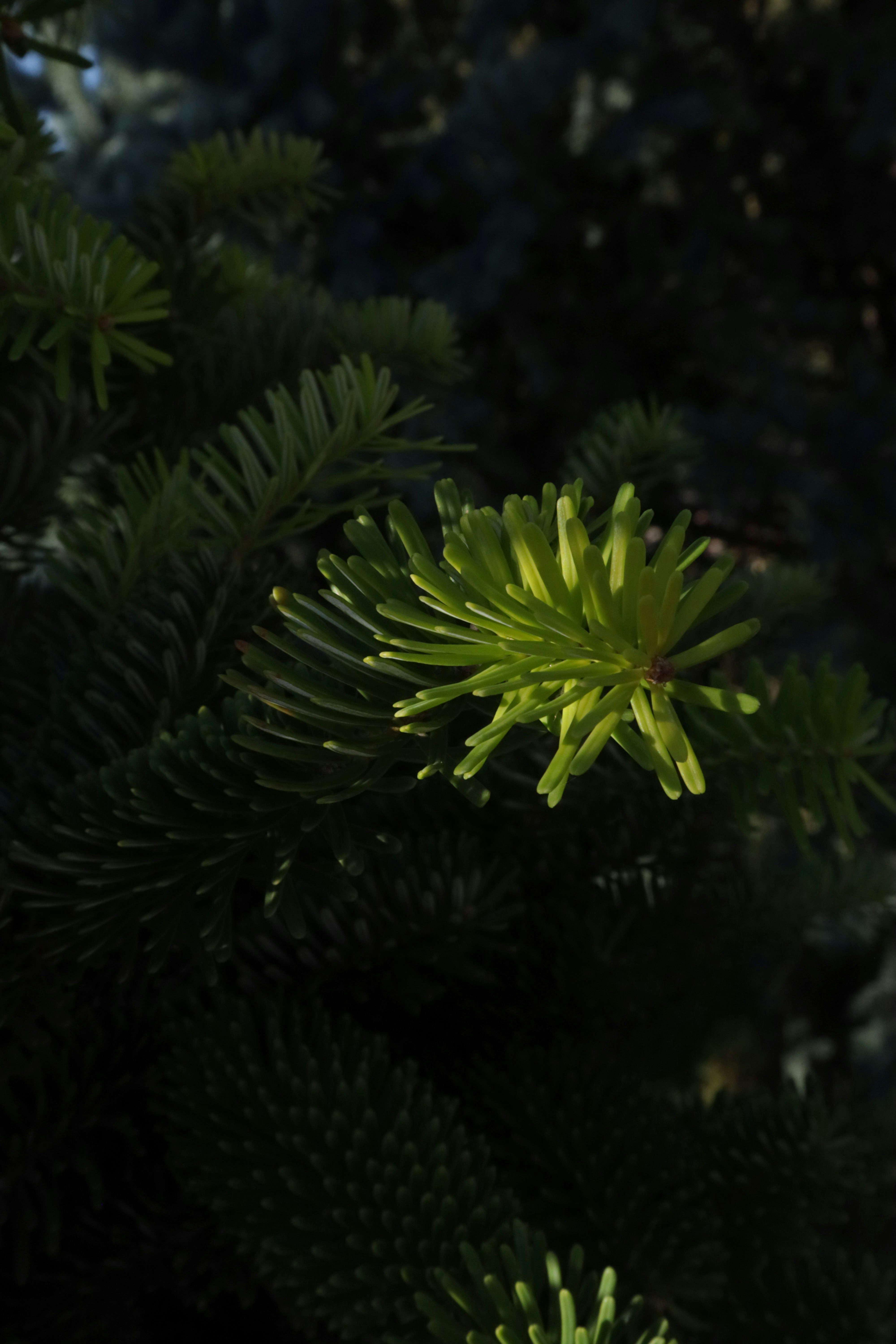 Photo by R. G with Canon EOS 250D