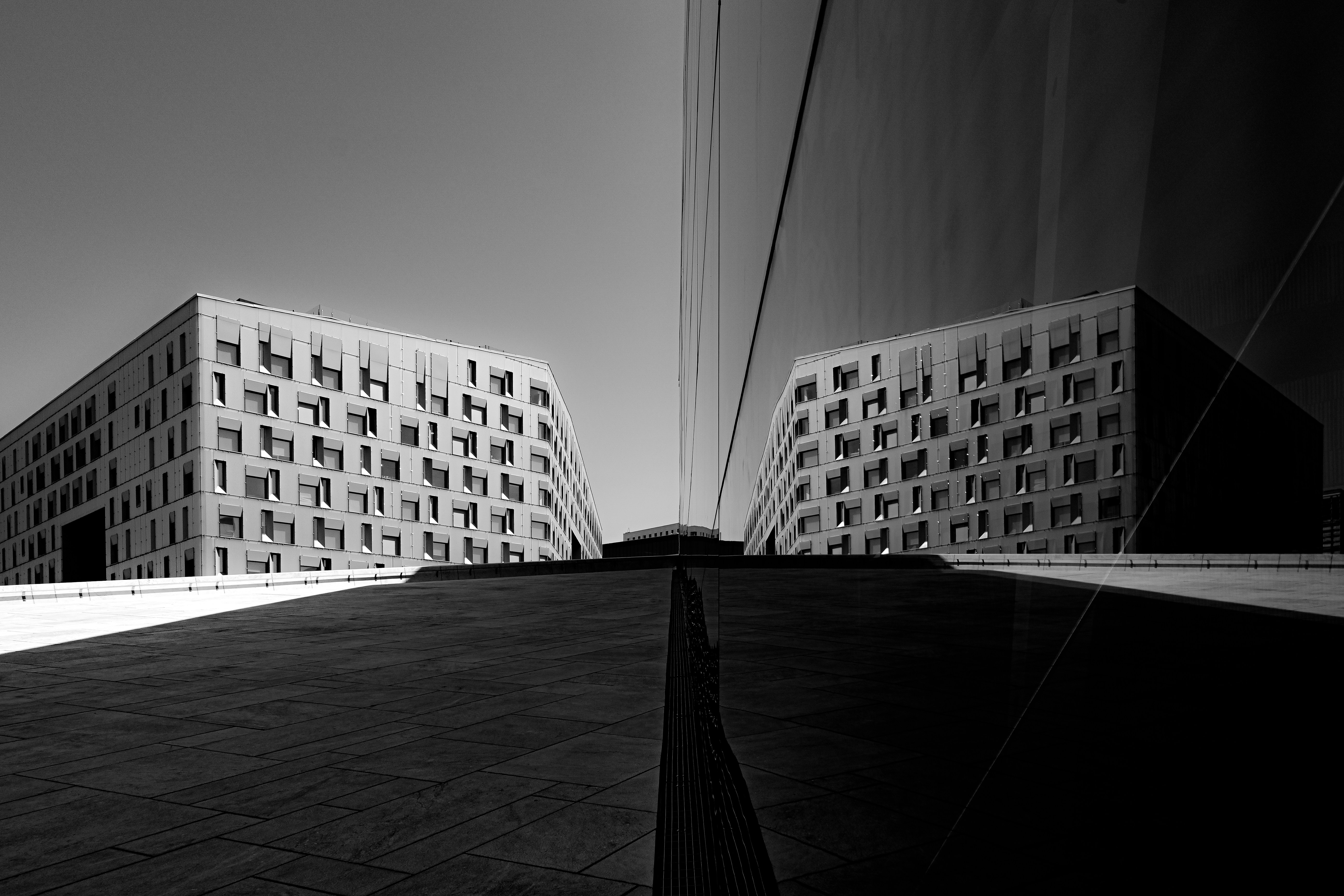 Photo by Sylwia Bartyzel with Nikon Z50