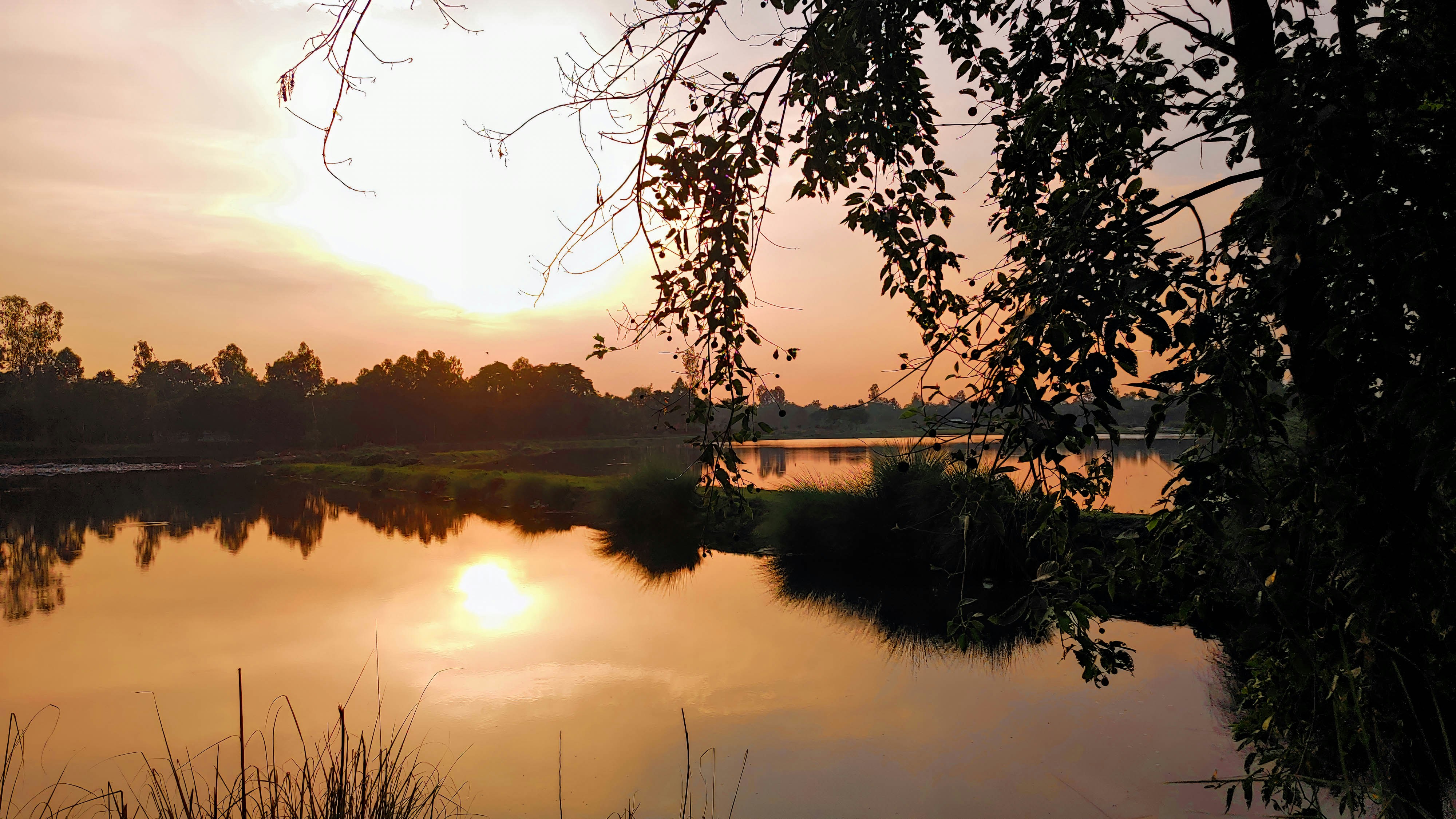 Golden sunset casting reflections on a serene lake, framed by lush foliage and silhouettes of distant trees.