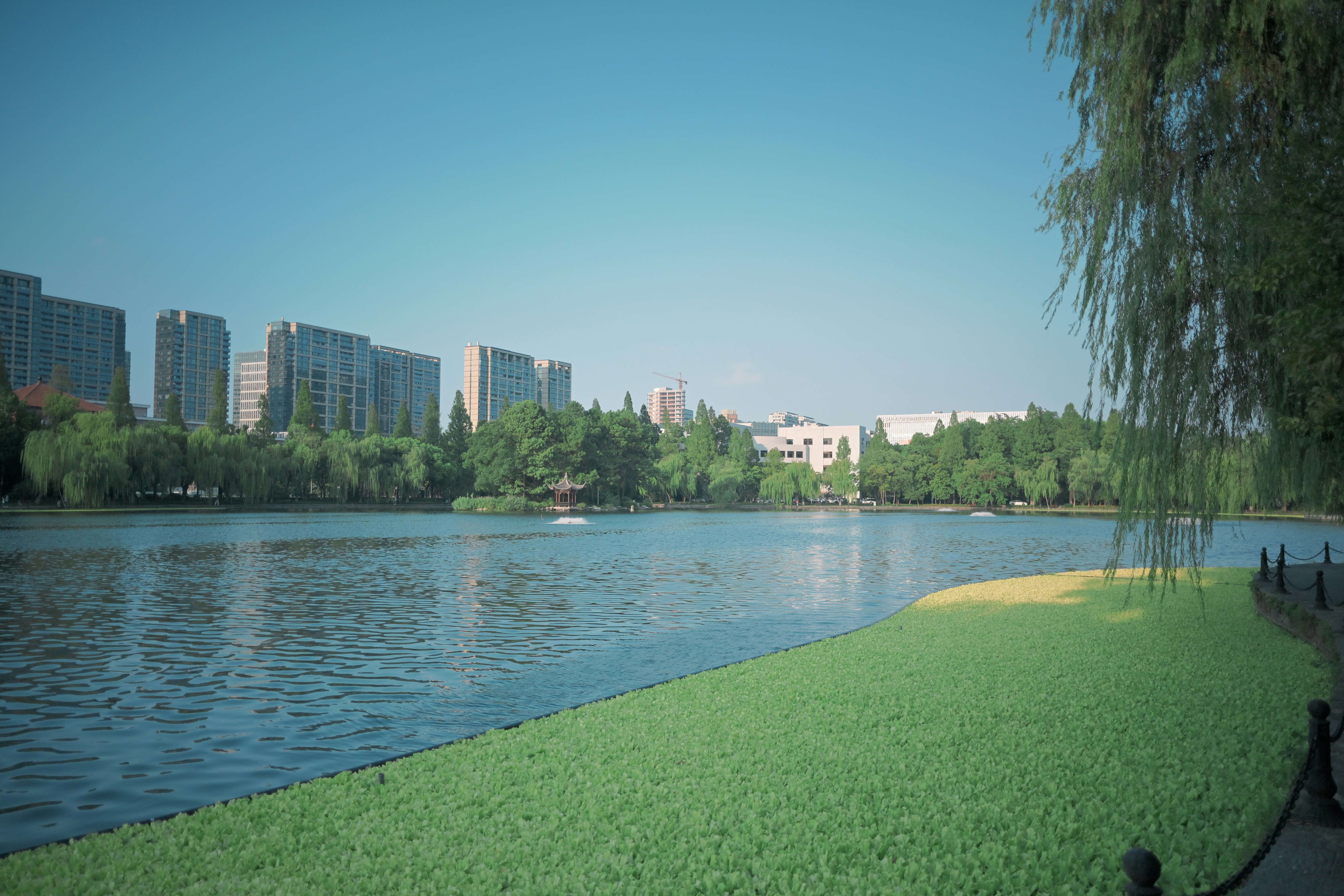 Calm lake with buildings and trees on shore.