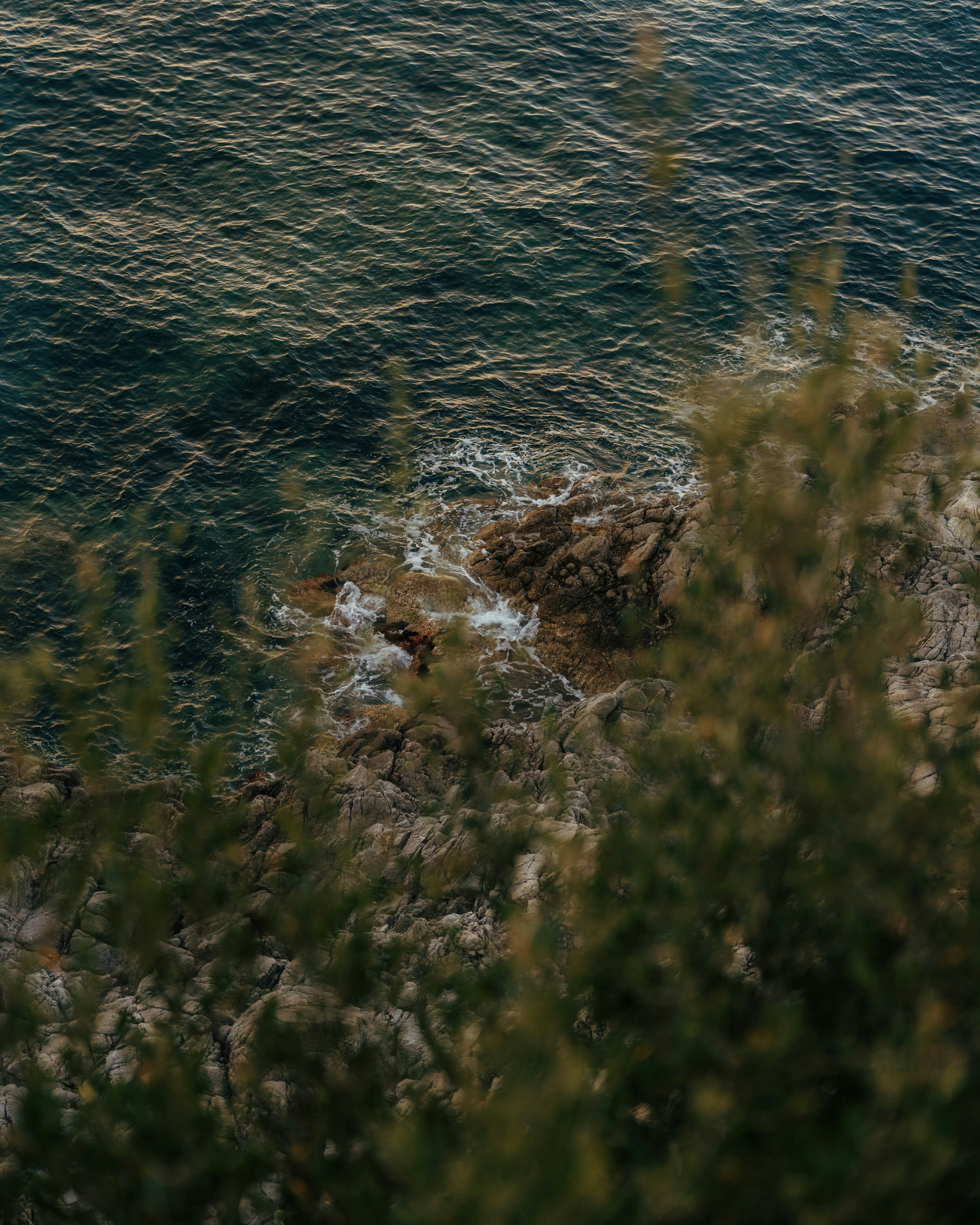 Waves crashing on rocky shore with green foliage