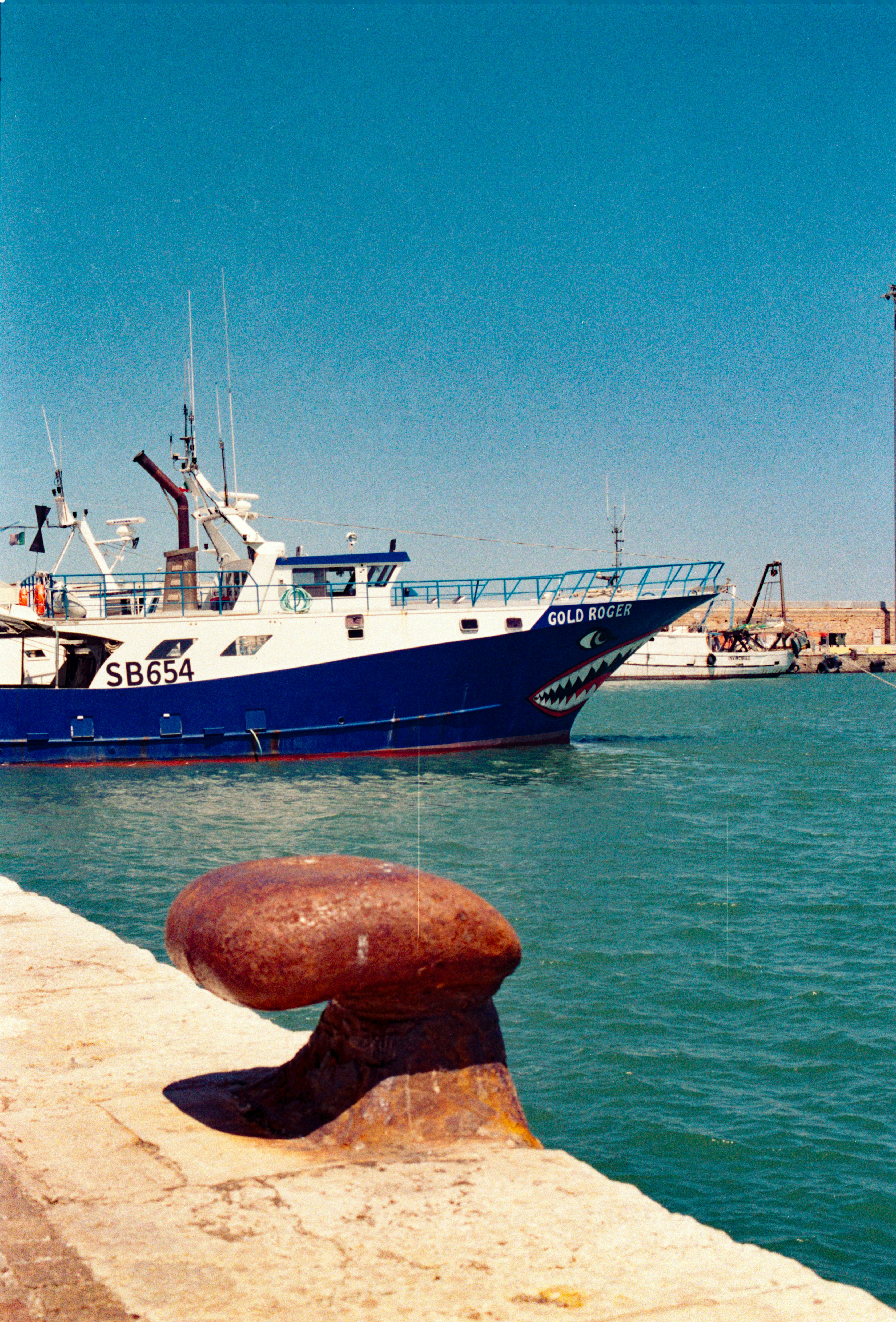 Blue fishing boat docked in a harbor with shark teeth design.