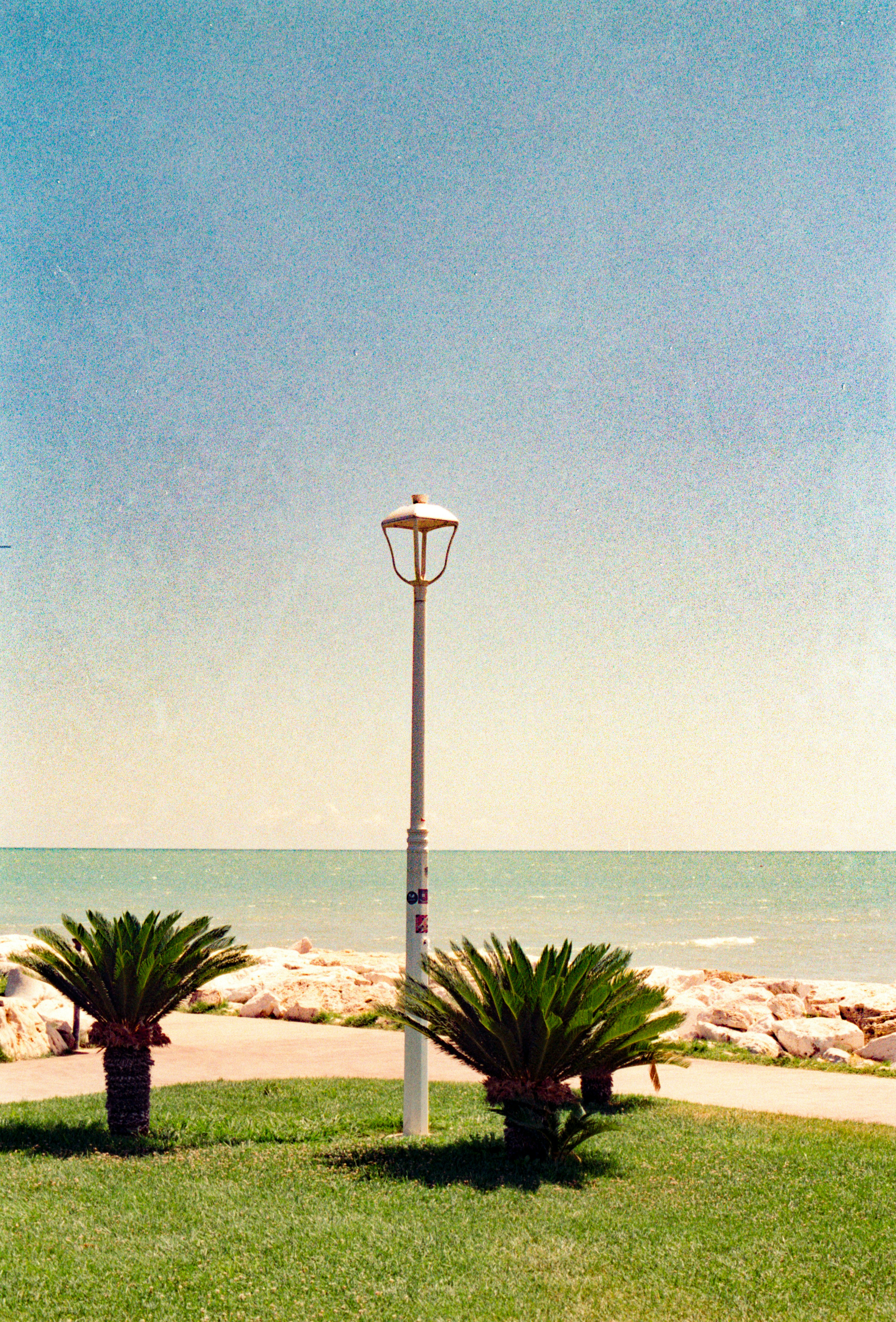 Palm trees and lamppost by the ocean
