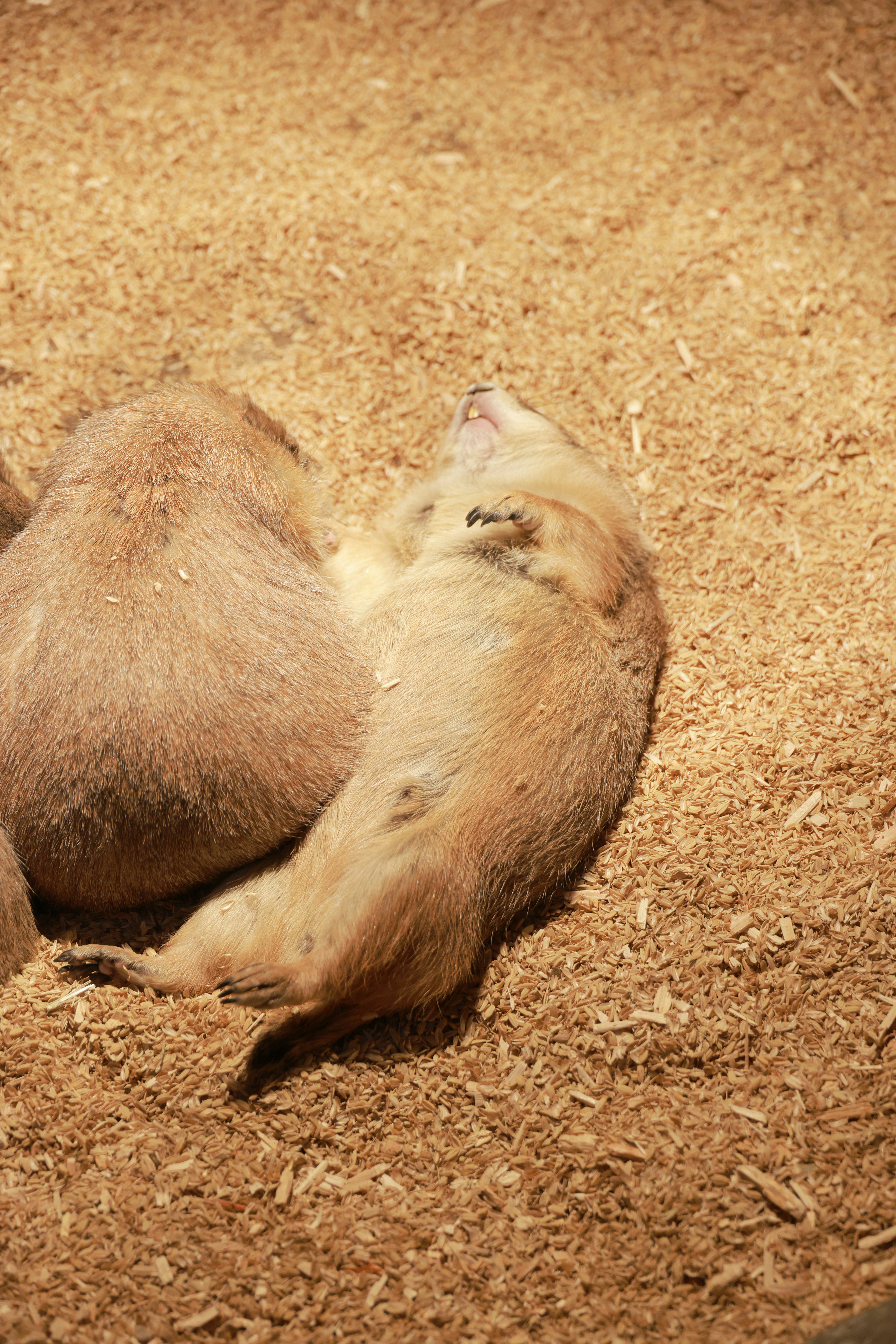 Soo hong Lee (@leesoohong) | Unsplash Photo Community