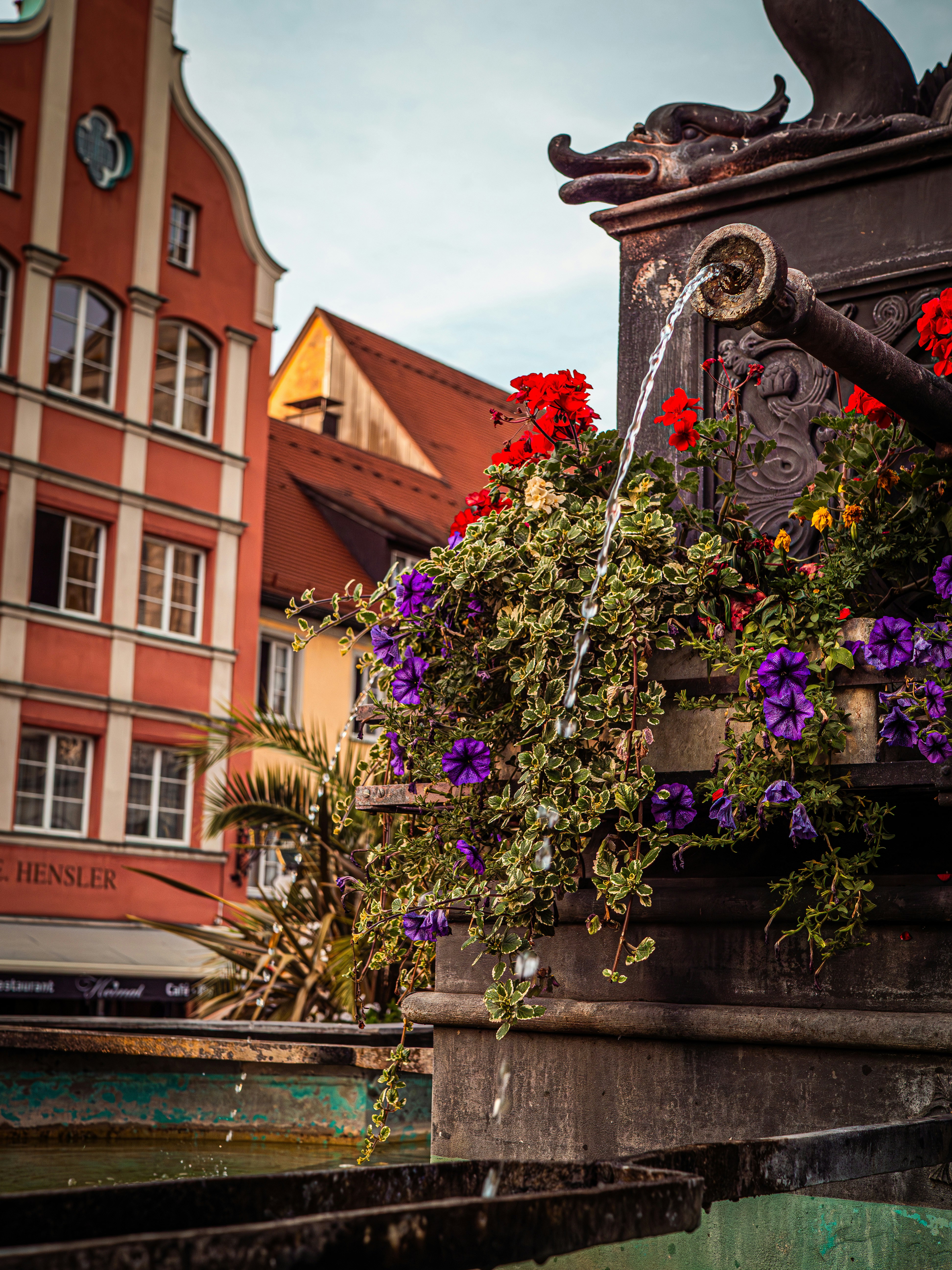 Colorful Cascade: Flowers Framing a Historic Fountain