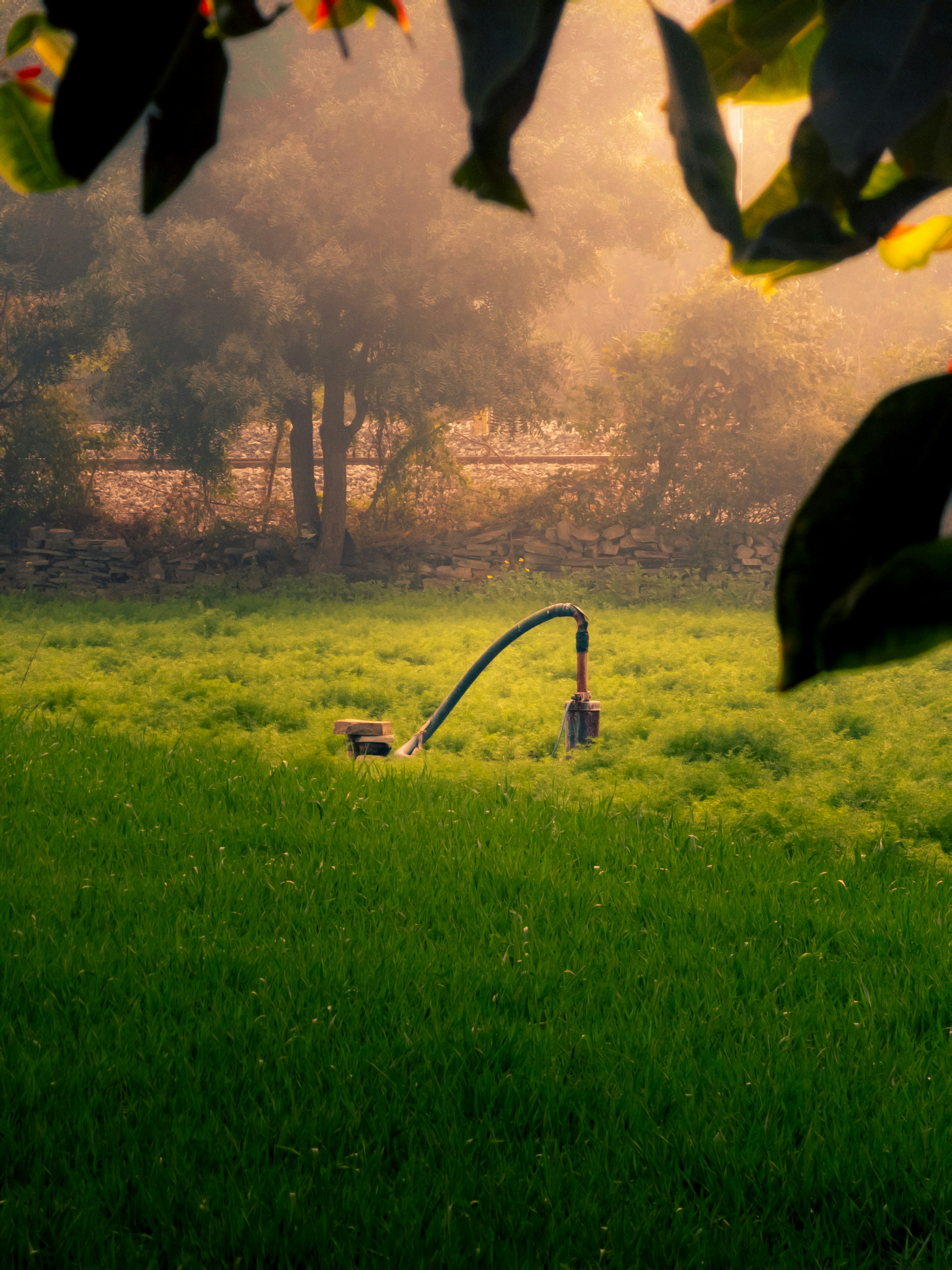 Harvesting Harmony: A Glimpse into Rural Life