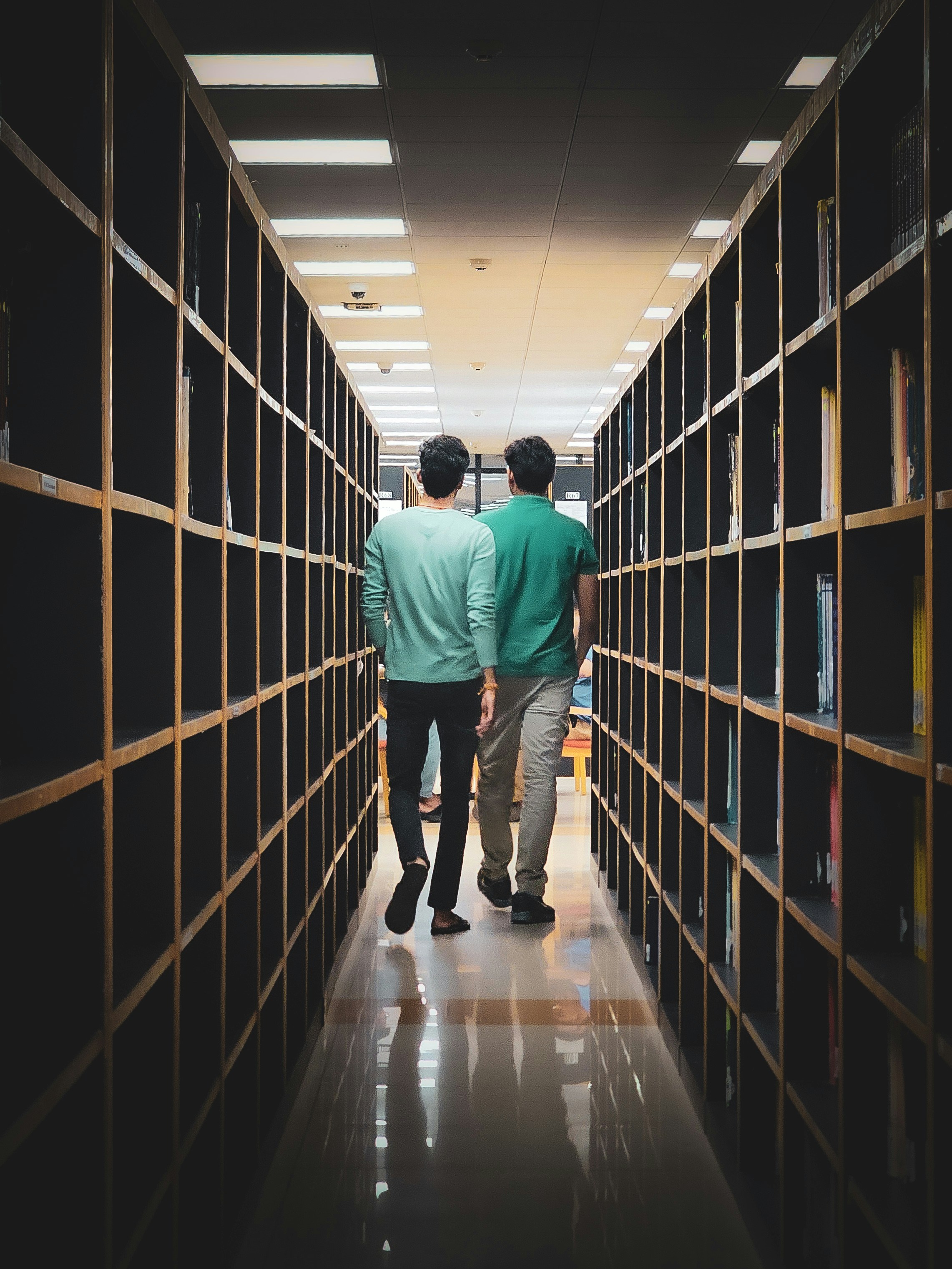 Navigating Knowledge: A Journey Through the Stacks