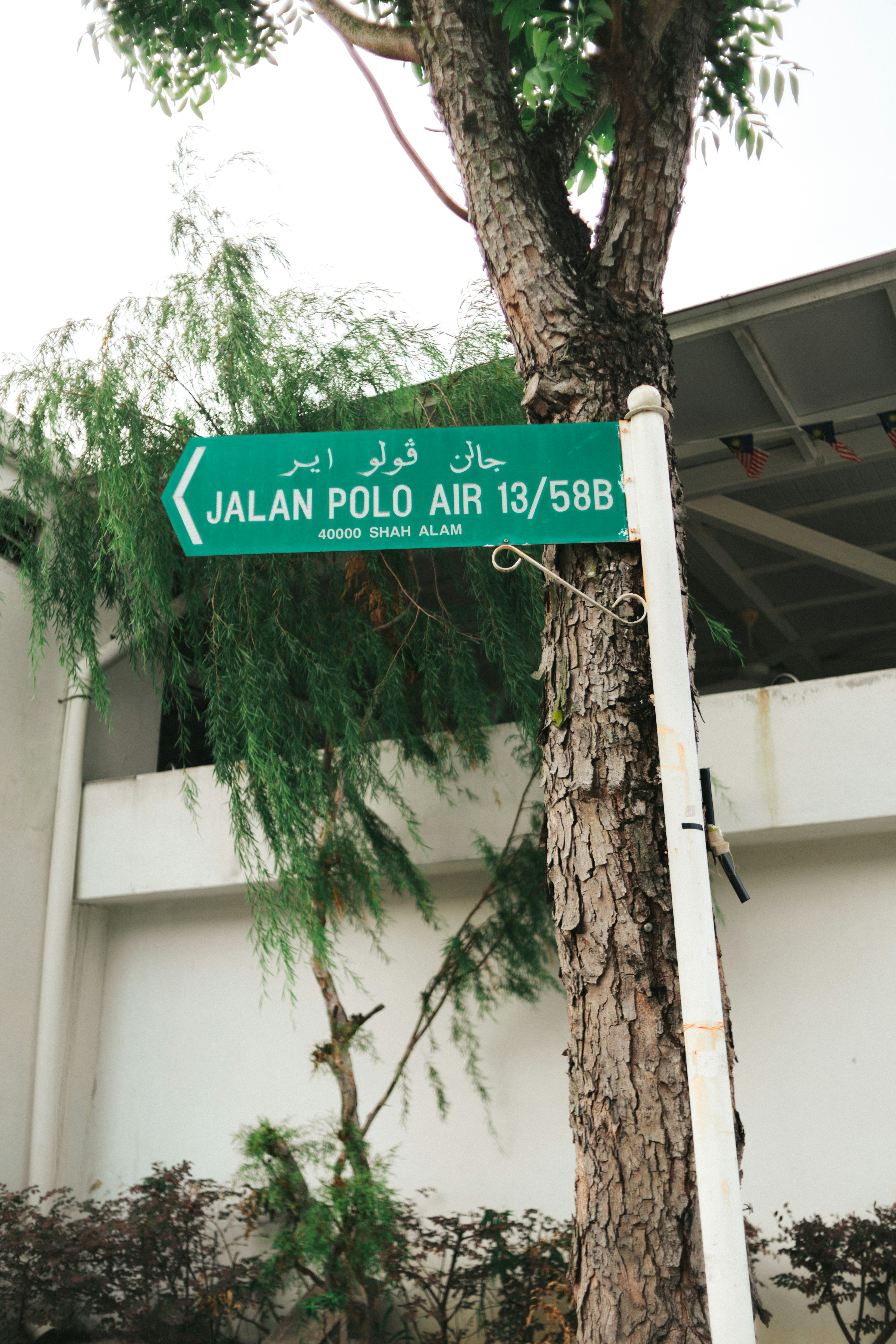 Navigating the Green Path: A Local Landmark