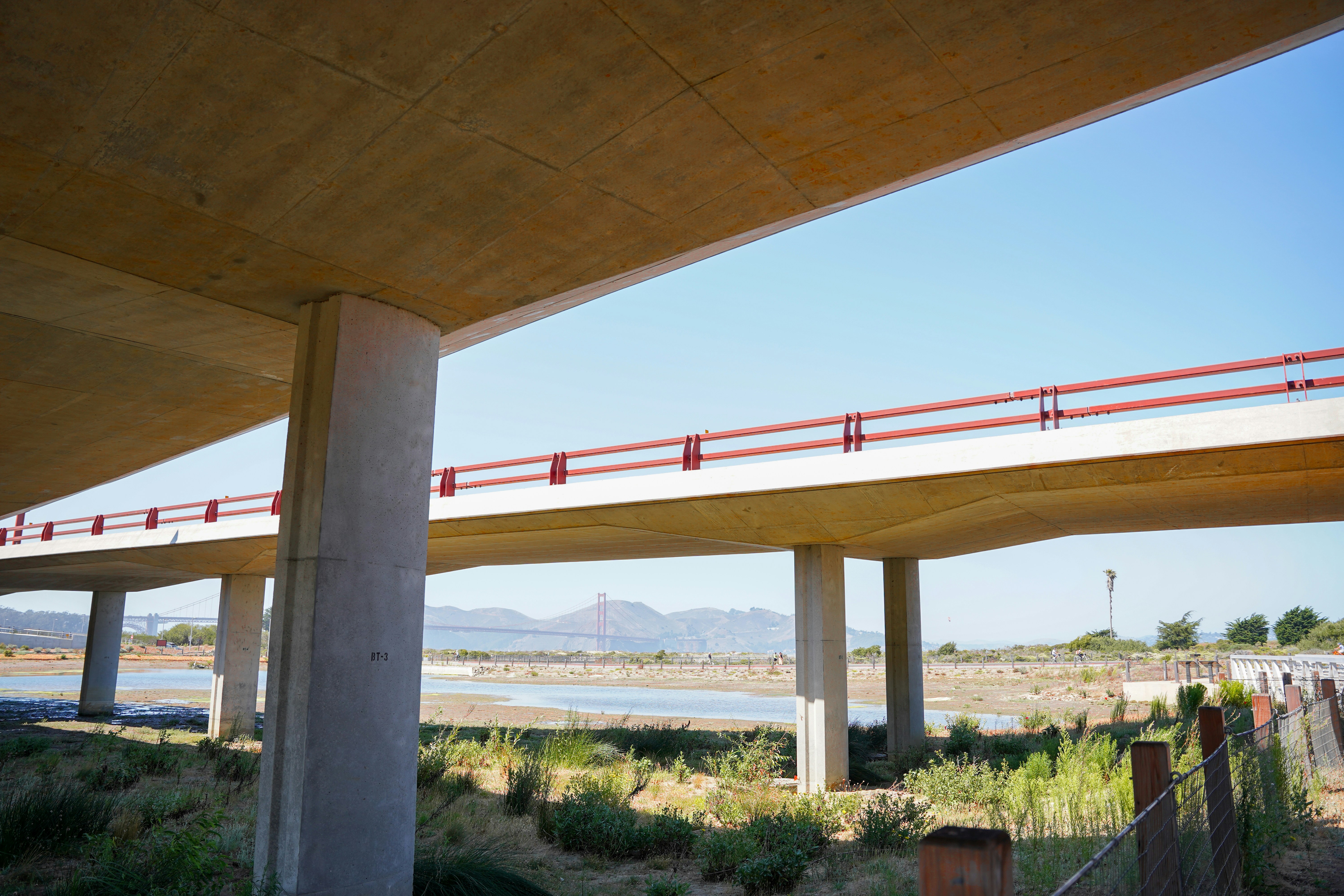 Beneath the Concrete Canopy