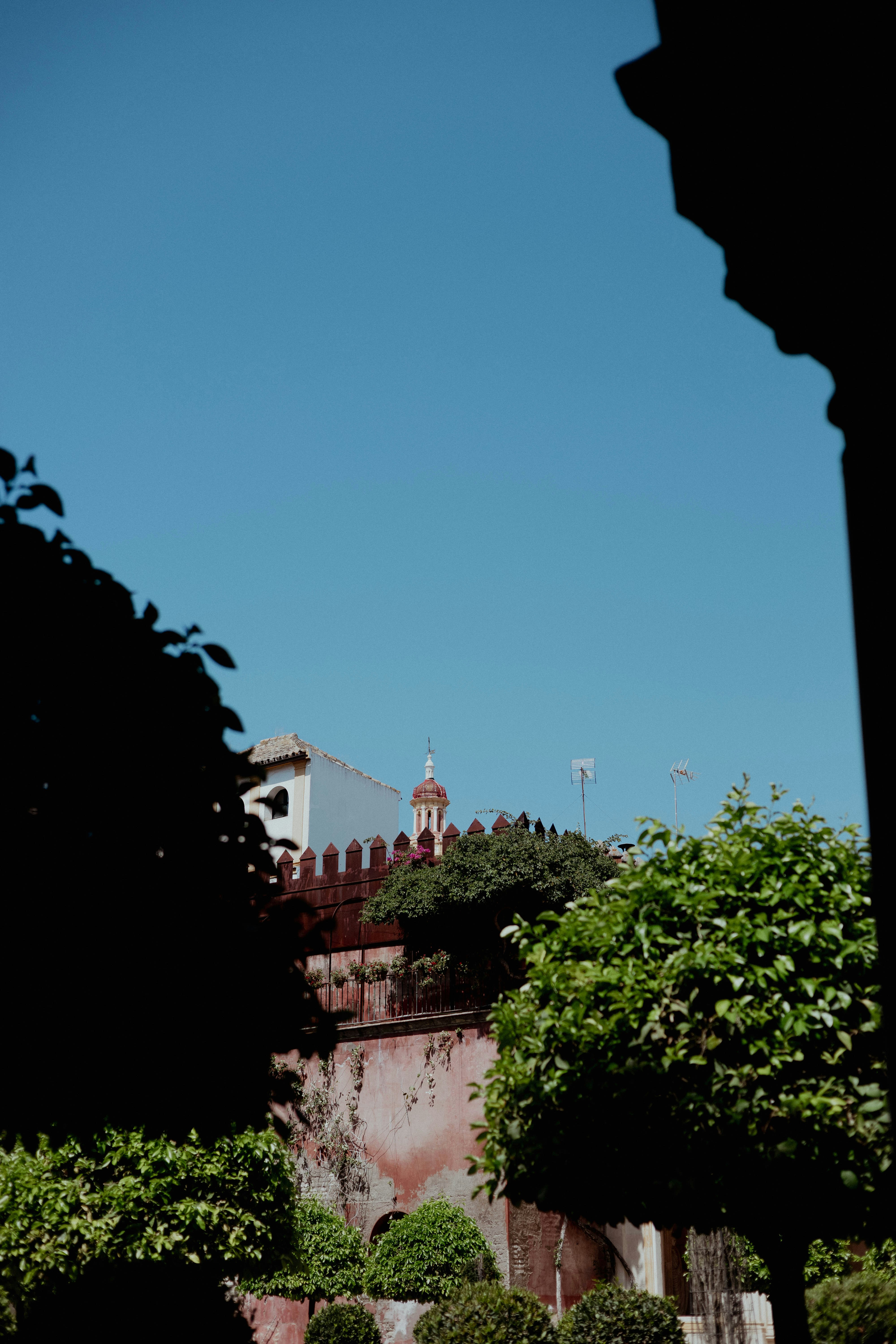 A serene courtyard scene framed by lush greenery, showcasing a glimpse of architectural features against a clear blue sky.