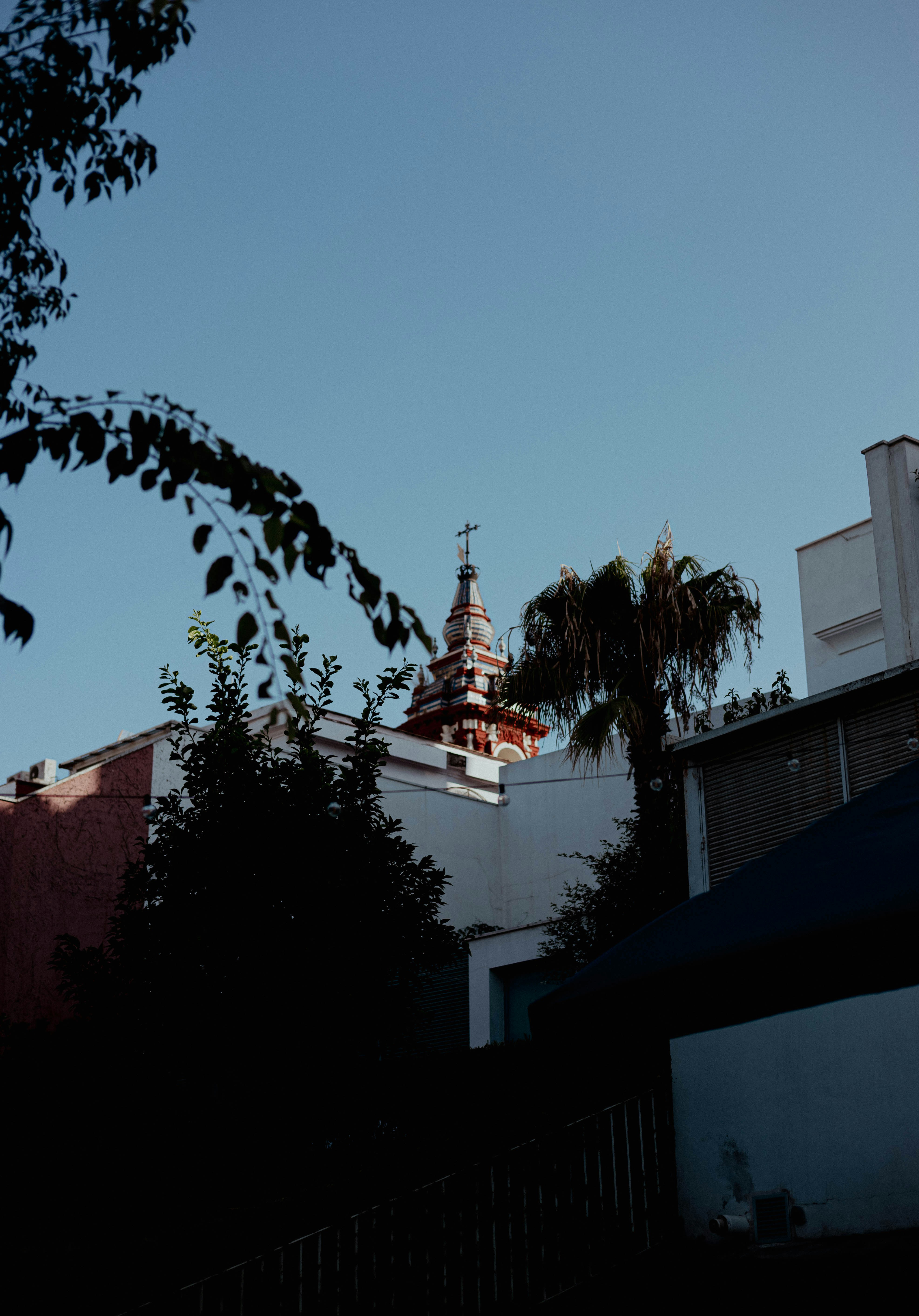 Church steeple and palm tree against blue sky.