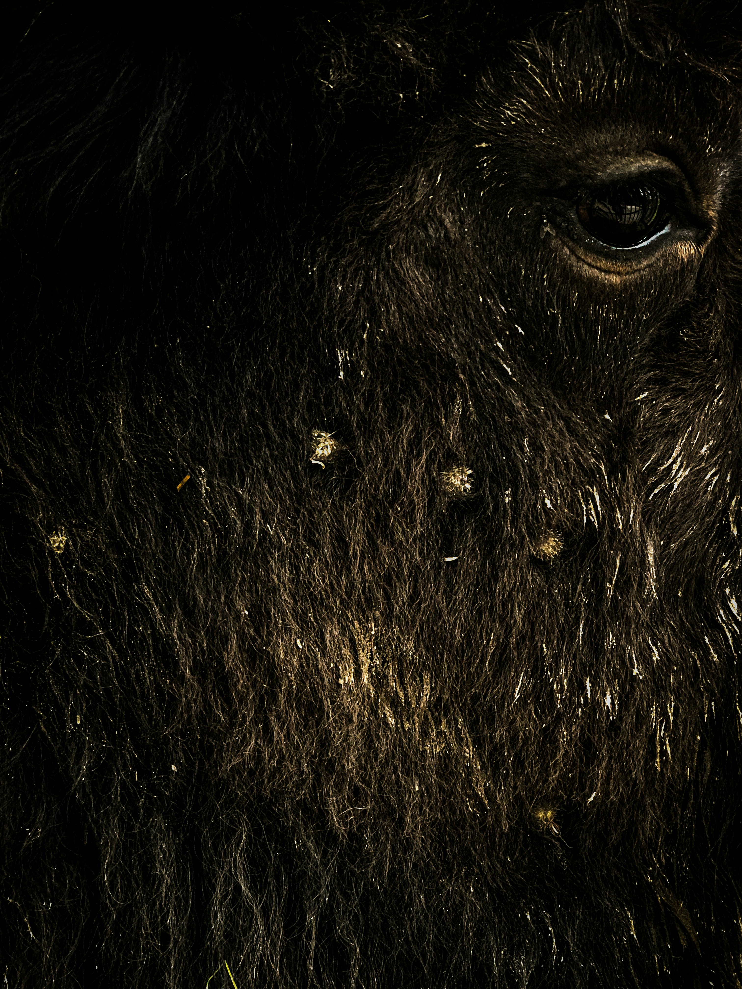 Photo by X X with Apple iPhone 8 Plus