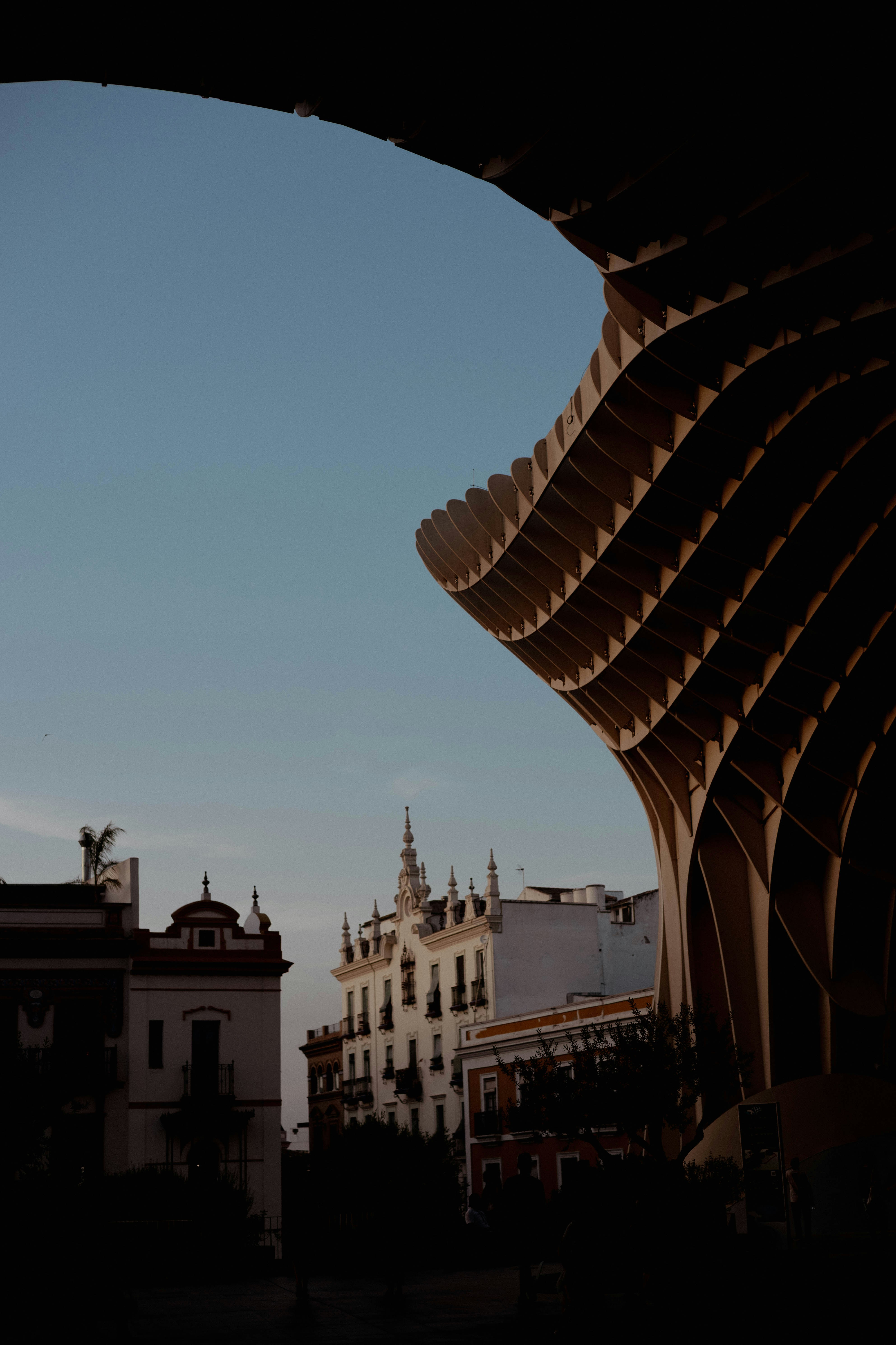 Arching timber shadows over a sunlit plaza