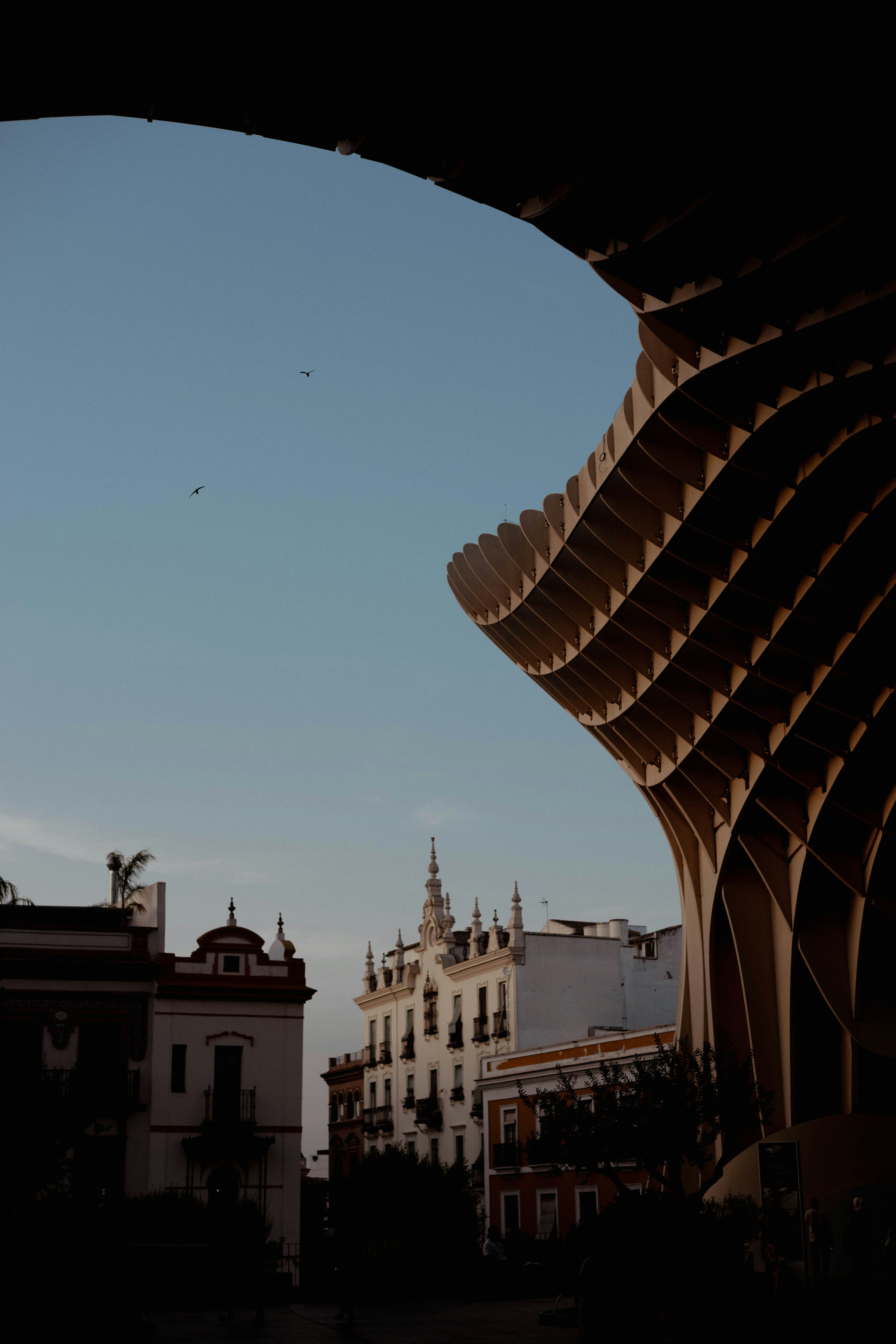Ribbed Canopy Over Seville: Light, Shadow, and Urban Geometry