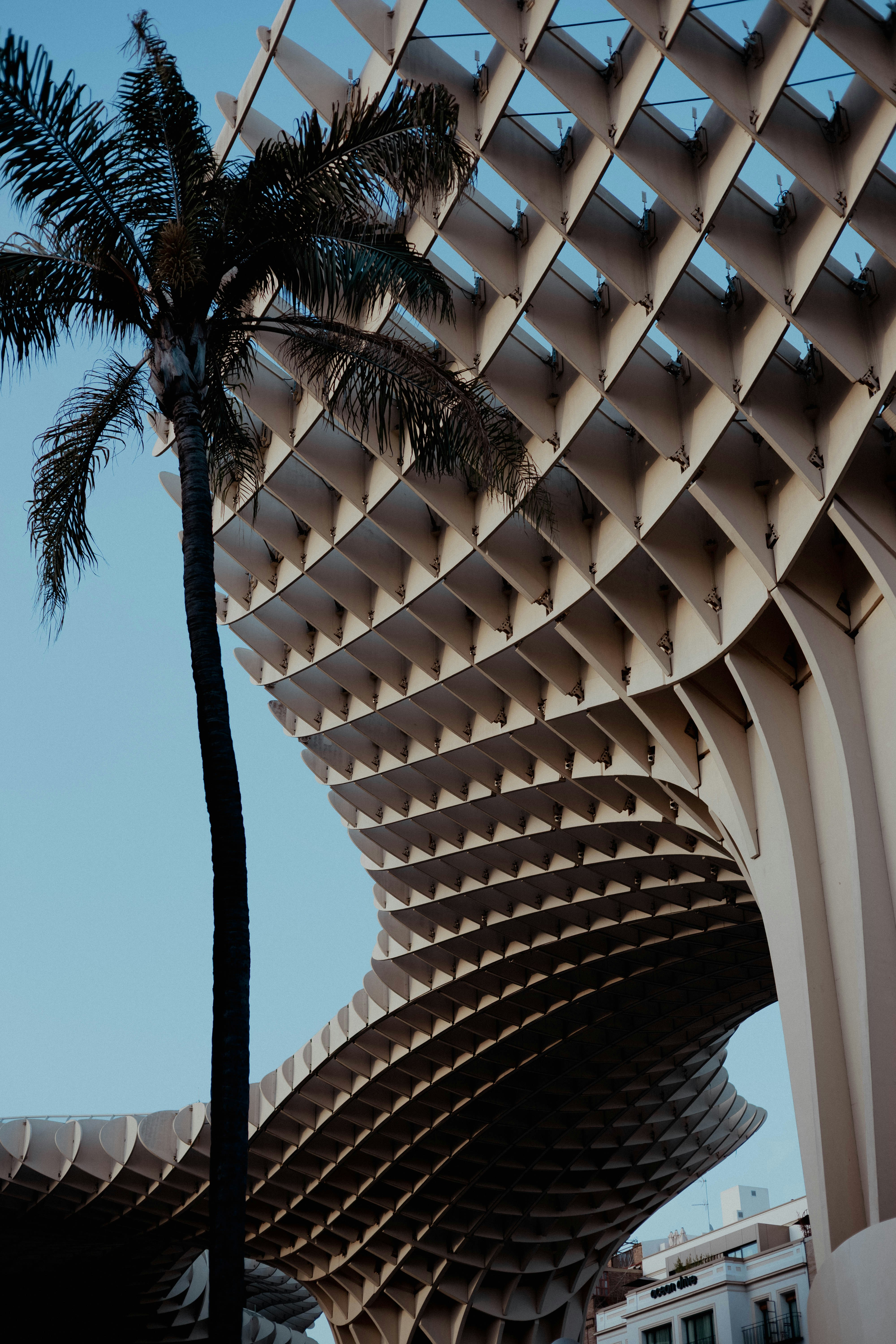 Curvilinear Harmony: Nature Meets Architecture