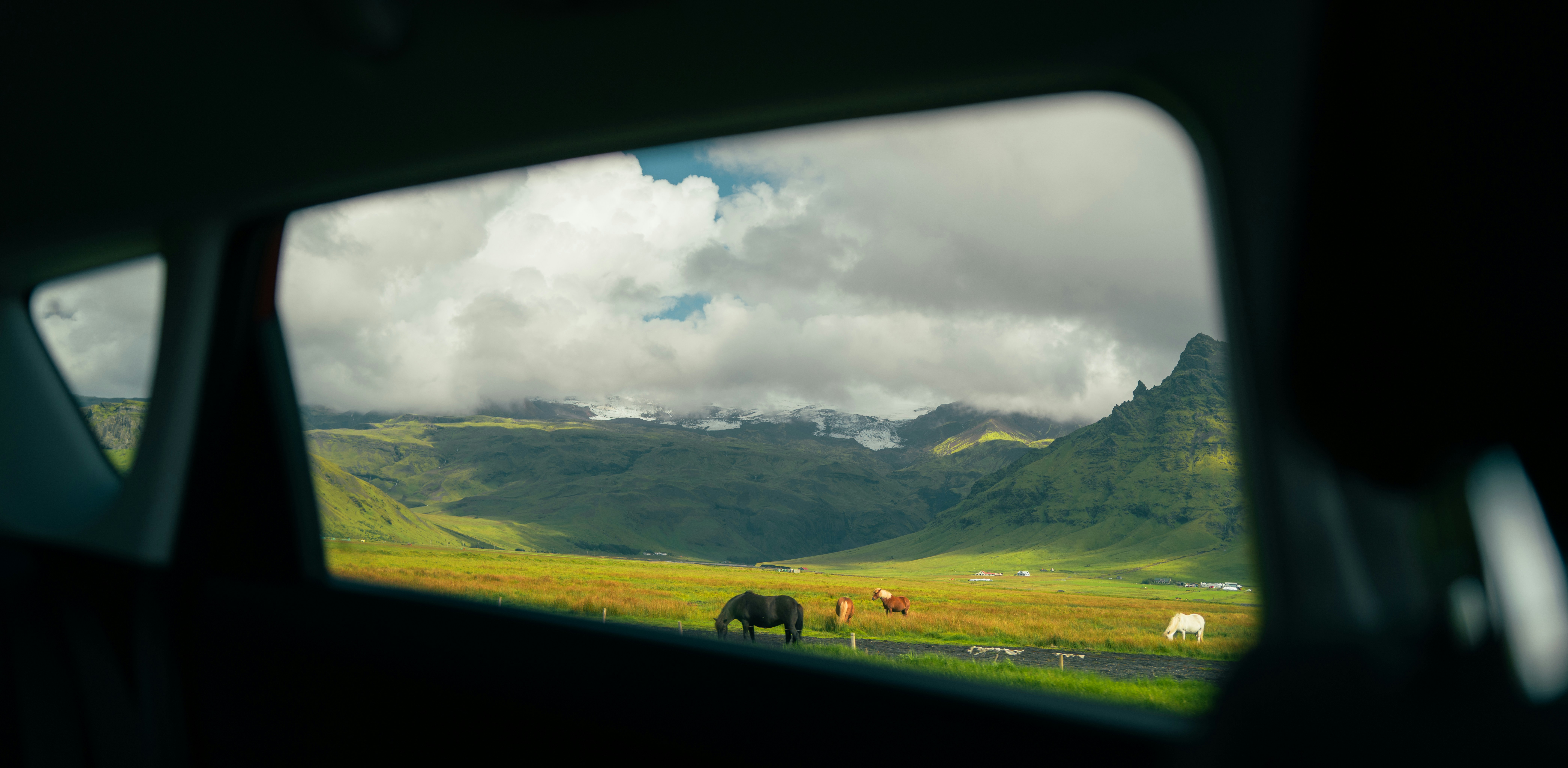 Horses grazing in a green field with mountains beyond.