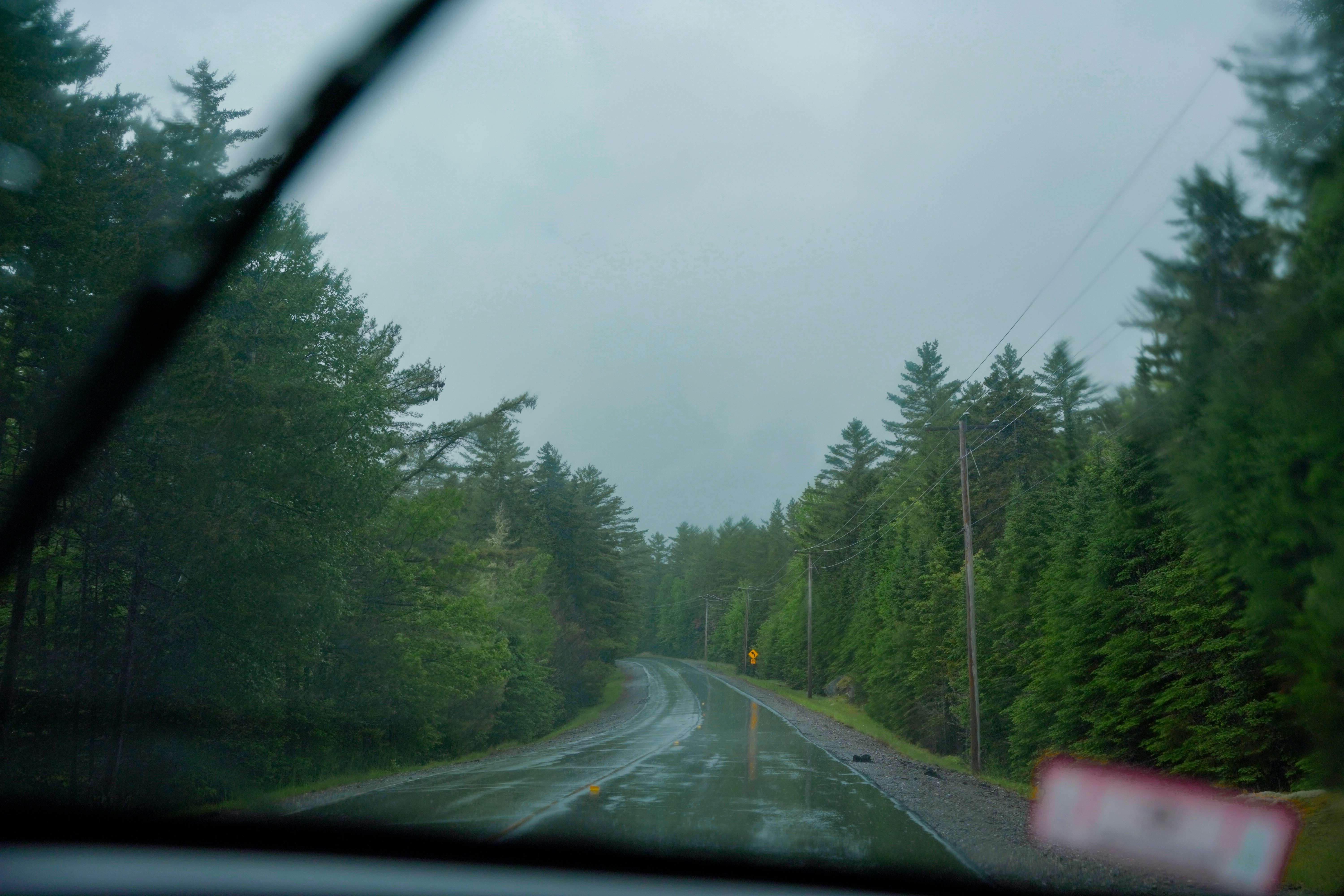 Whispers of the Rainy Road