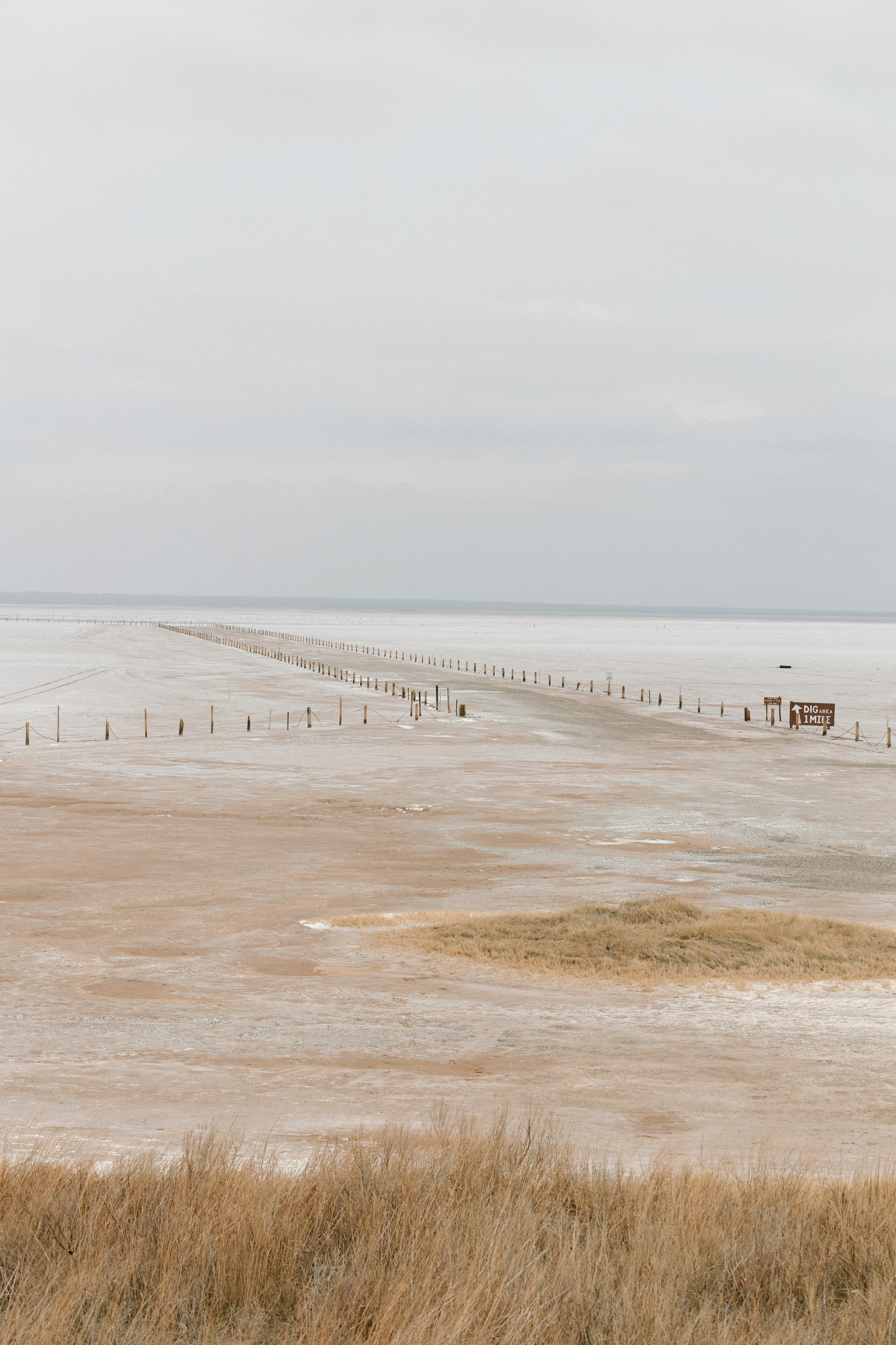 Posts Toward the Pale Horizon Across a Salt-Flat Seascape