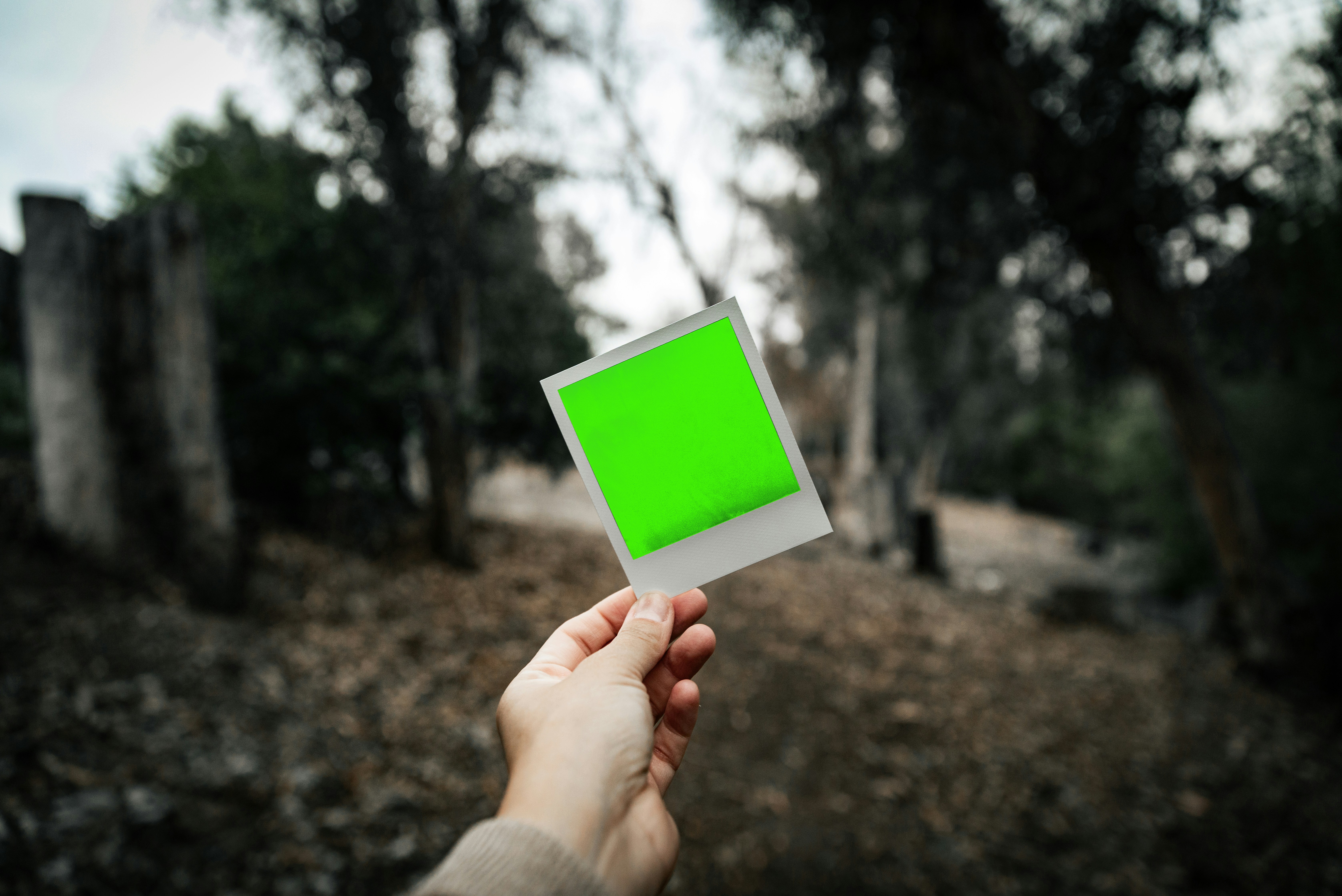 Hand holding a green screen instant photo