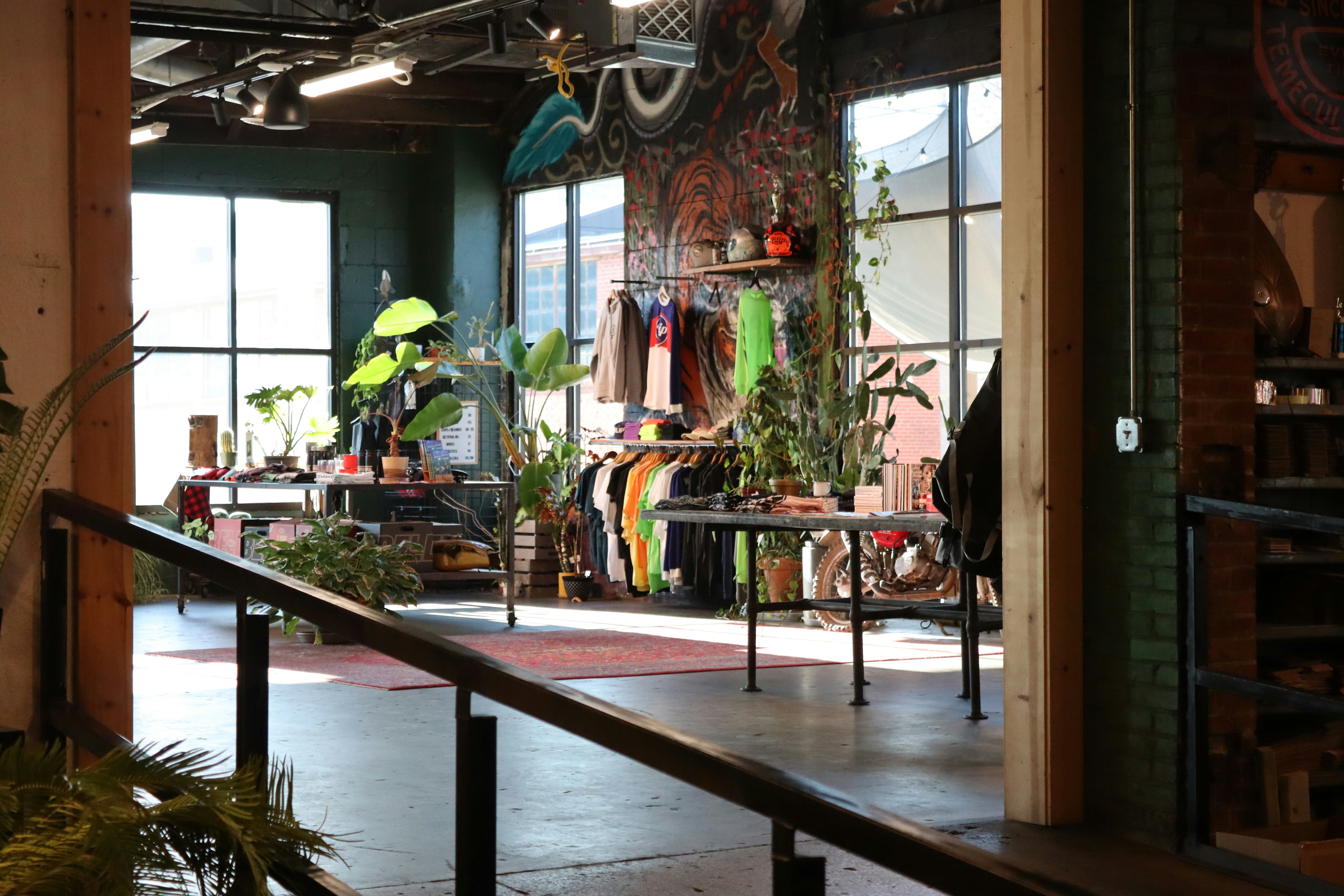 Coffe Shop Pictures | Interior of a trendy shop with plants and clothing