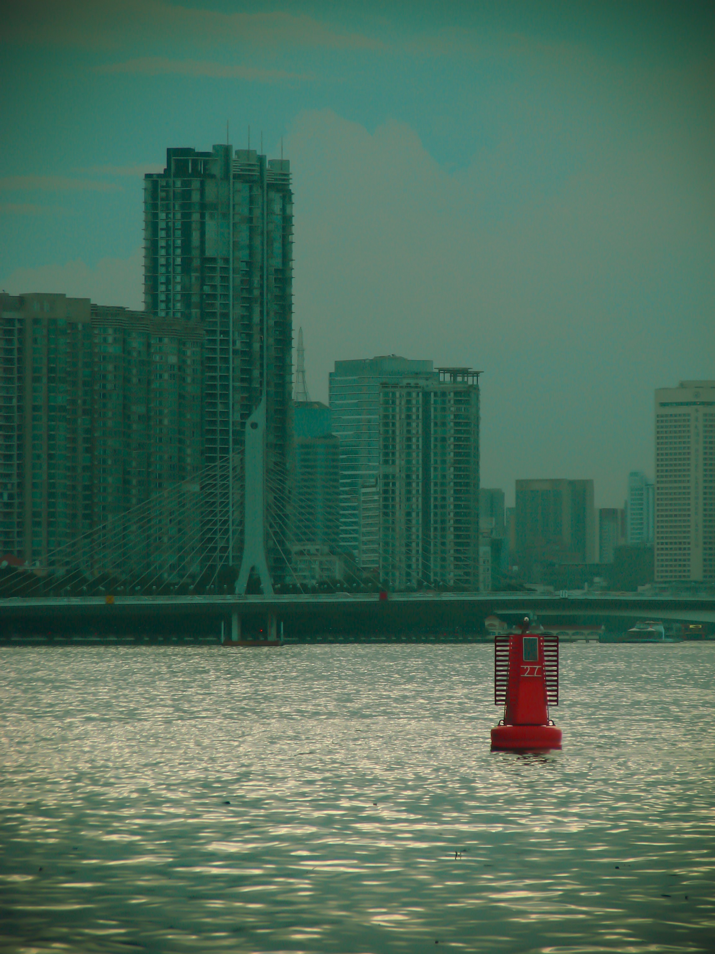 Red buoy floats on water with cityscape background