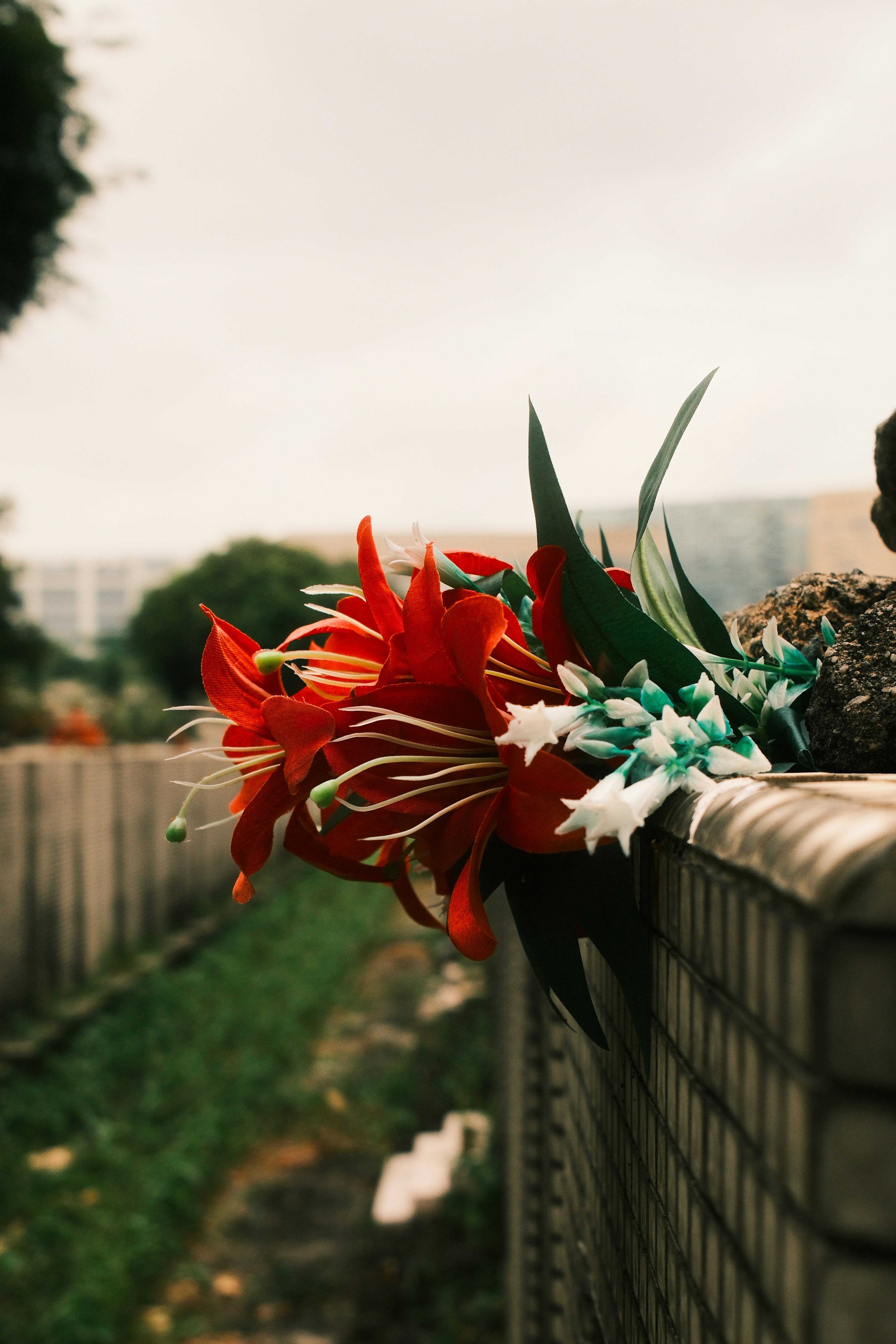 Red lilies draped over a textured wall