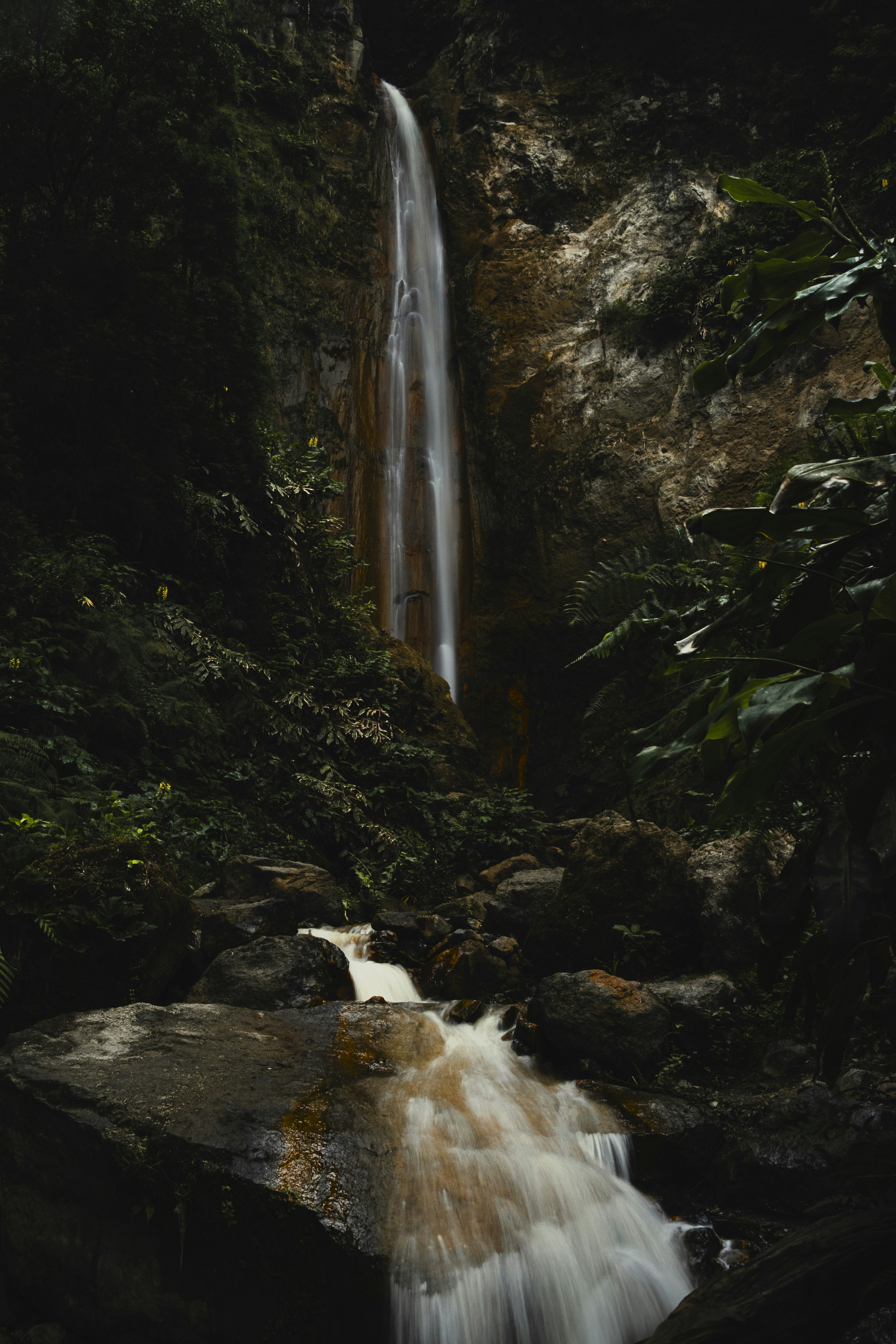 Whispers of the Cascading Waters