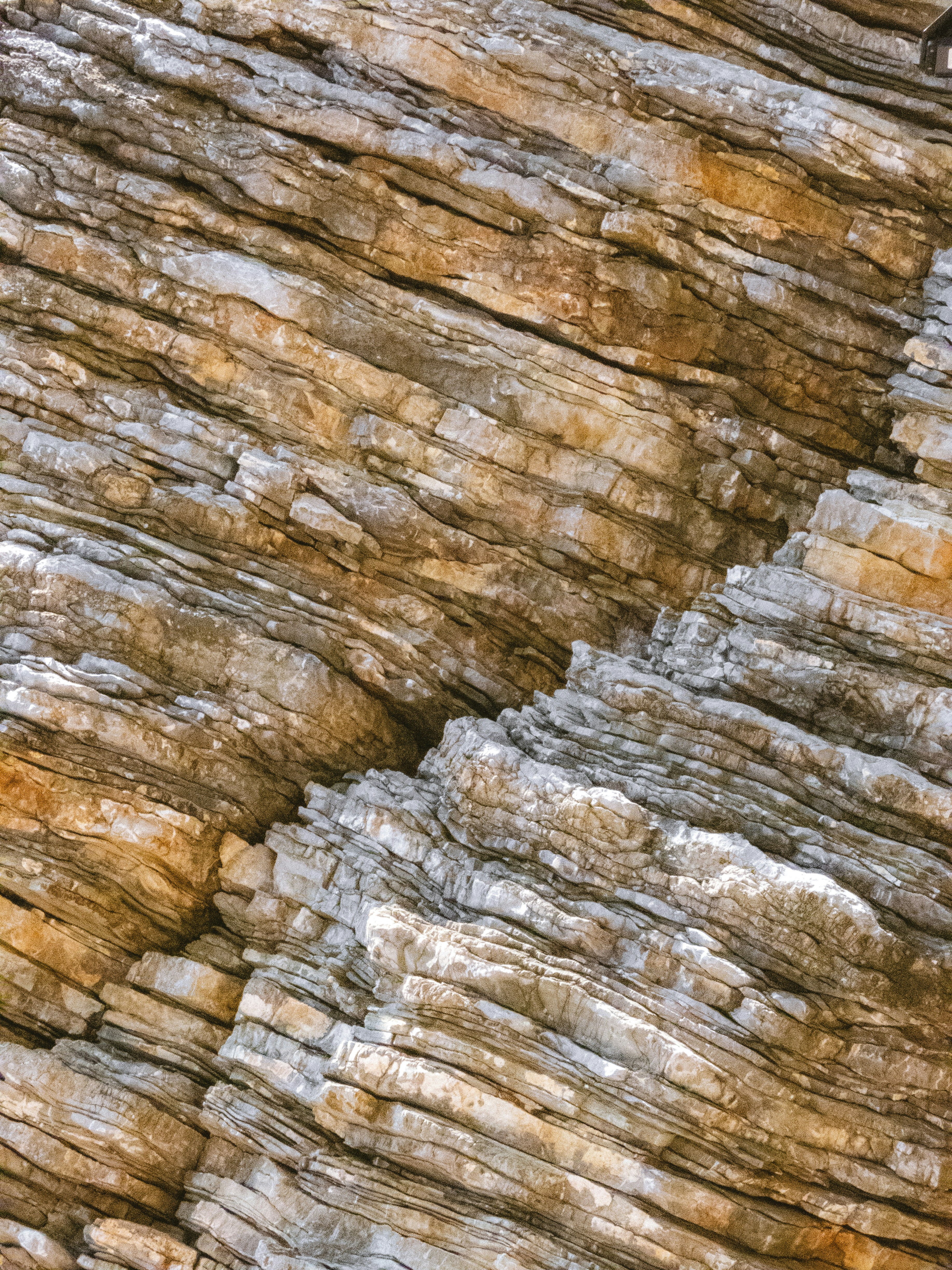 Close-up of textured, layered sedimentary rock showcasing warm earthy tones and intricate natural patterns | Textured rock layers with warm brown and gray tones.