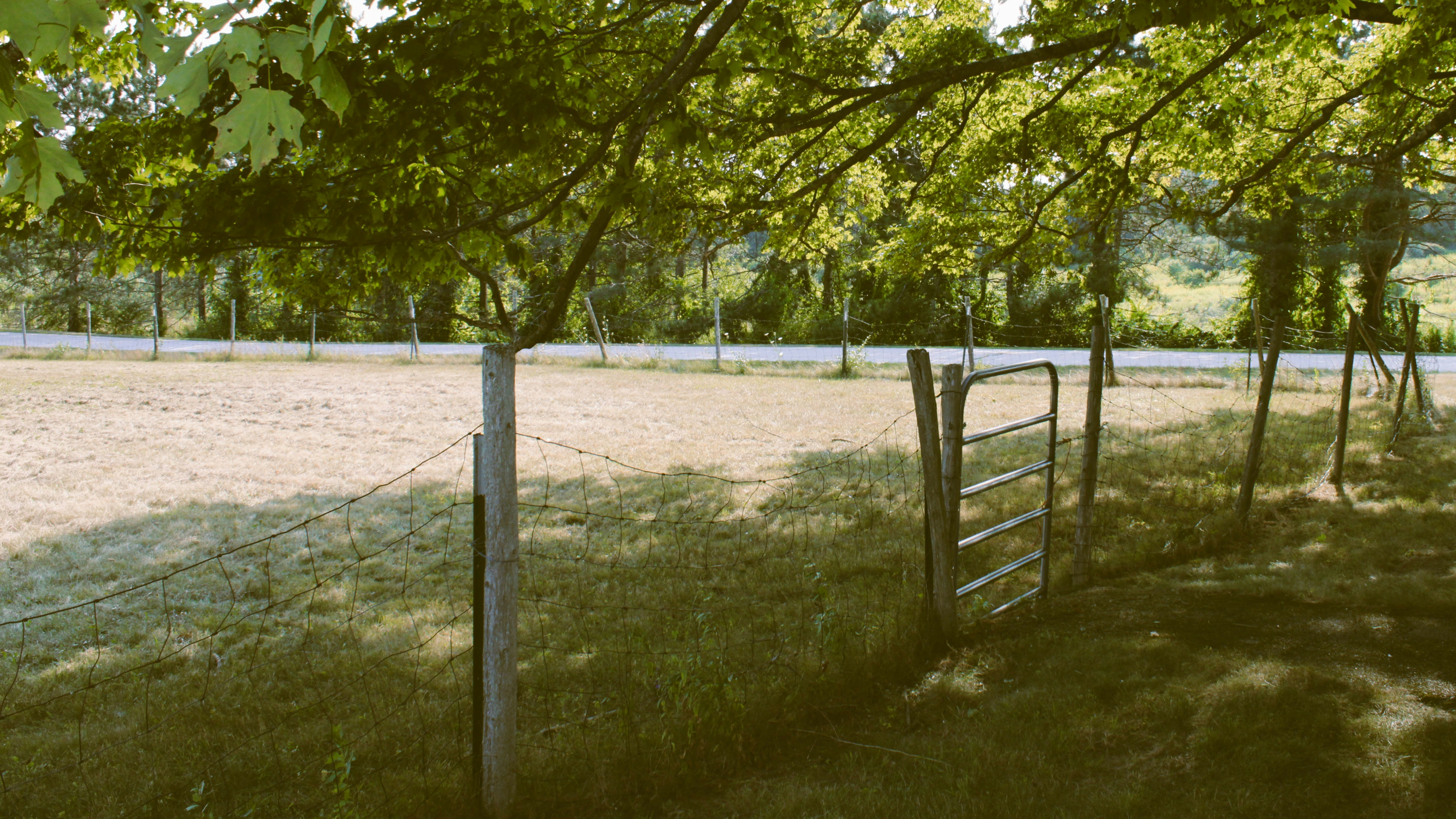 Farm with old wire fence and gate underneath tree branches | A metal gate and fence in a grassy field.