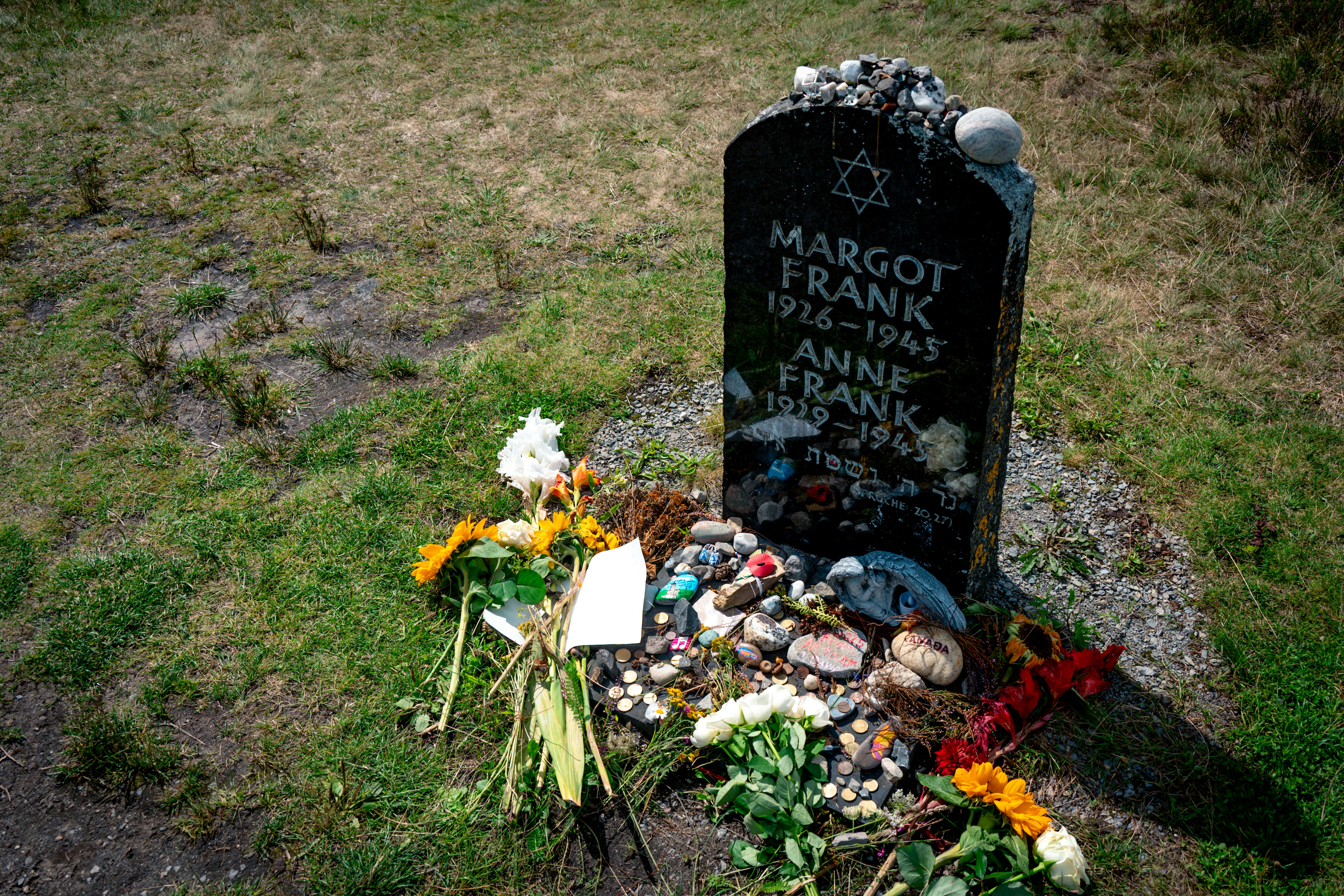 A Quiet Tribute: Remembering the Frank Sisters
