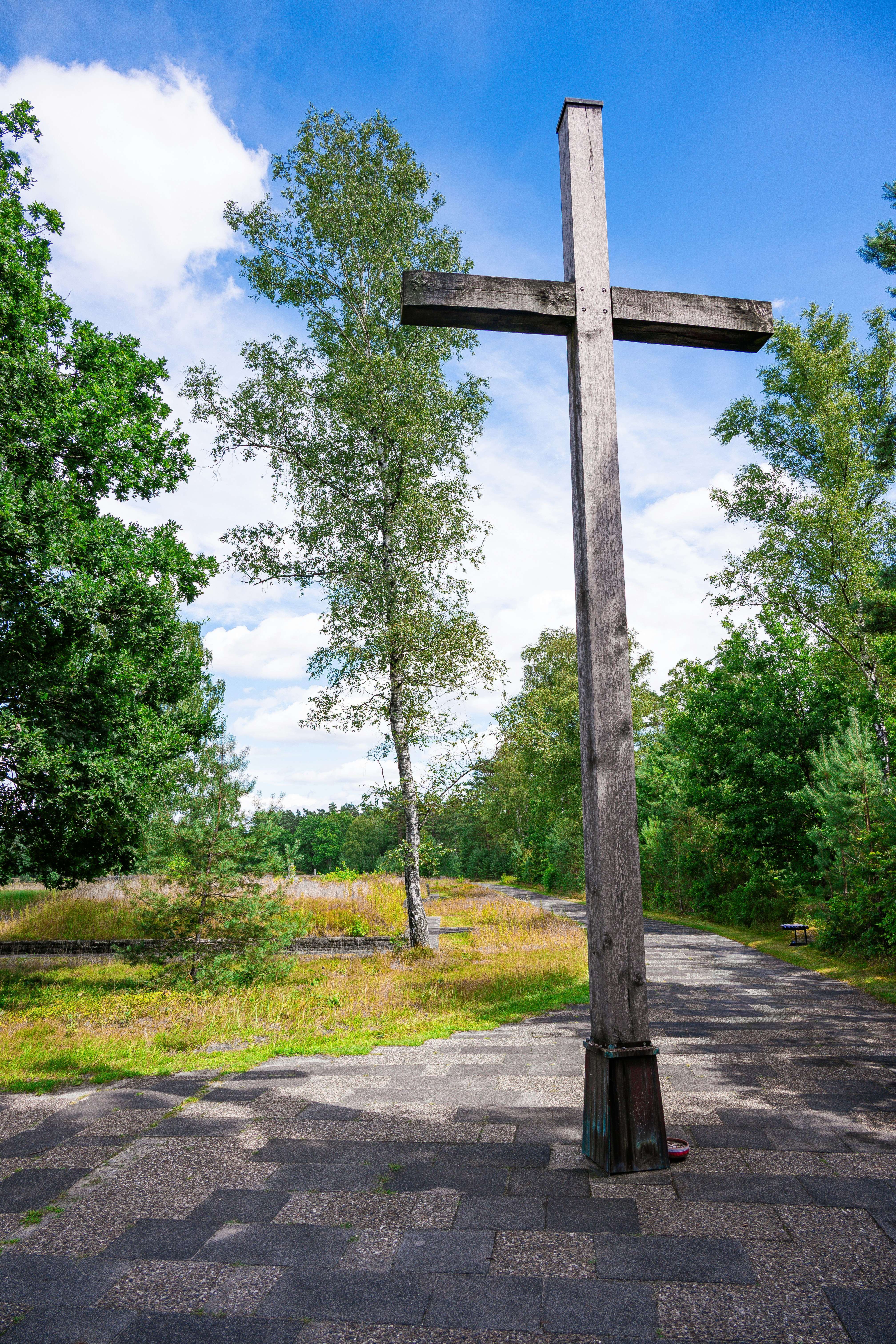 Silent Sentinel: A Wooden Cross Amidst Nature's Embrace