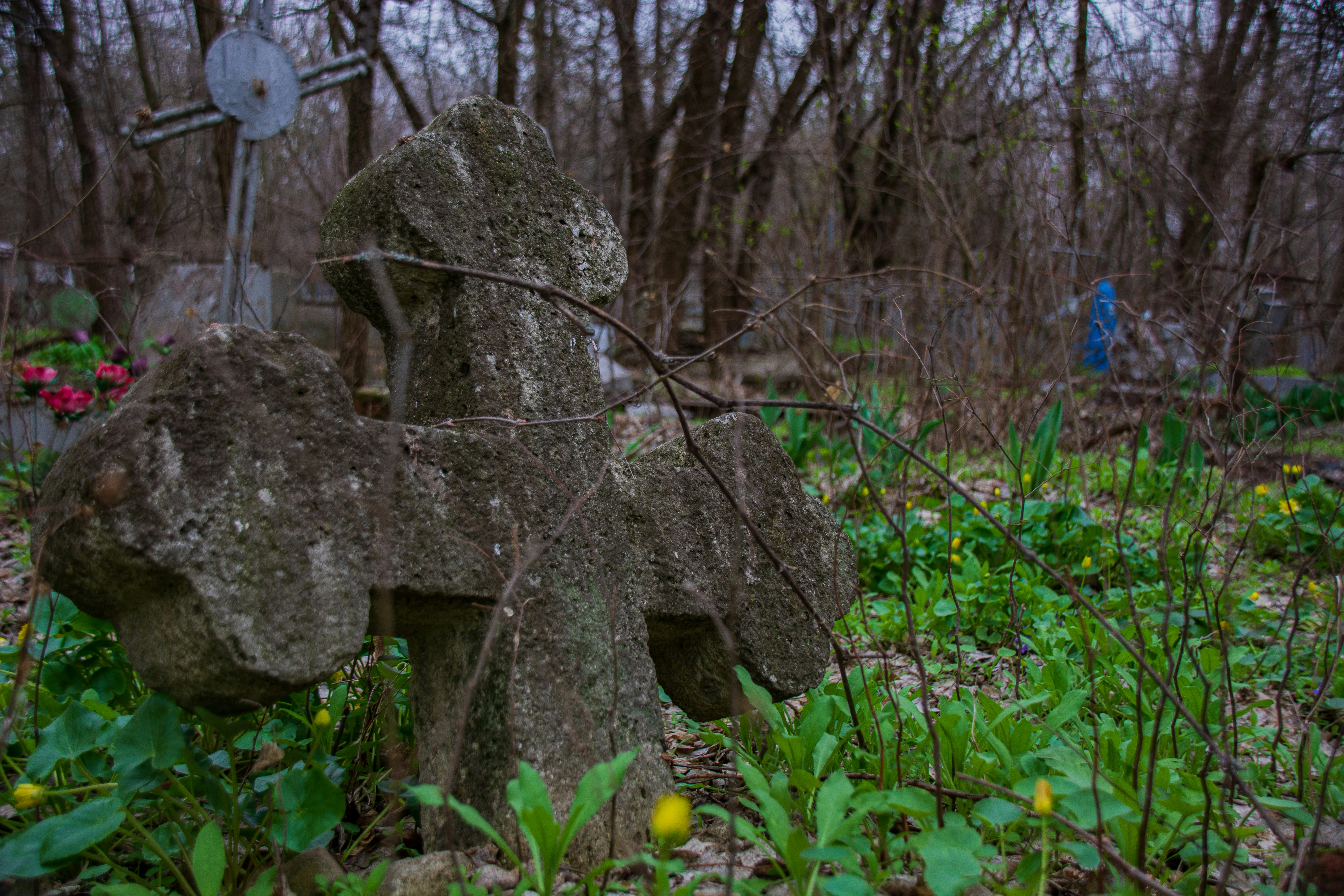 Moss-Wrapped Cross: Quiet Sentinel in an Overgrown Graveyard
