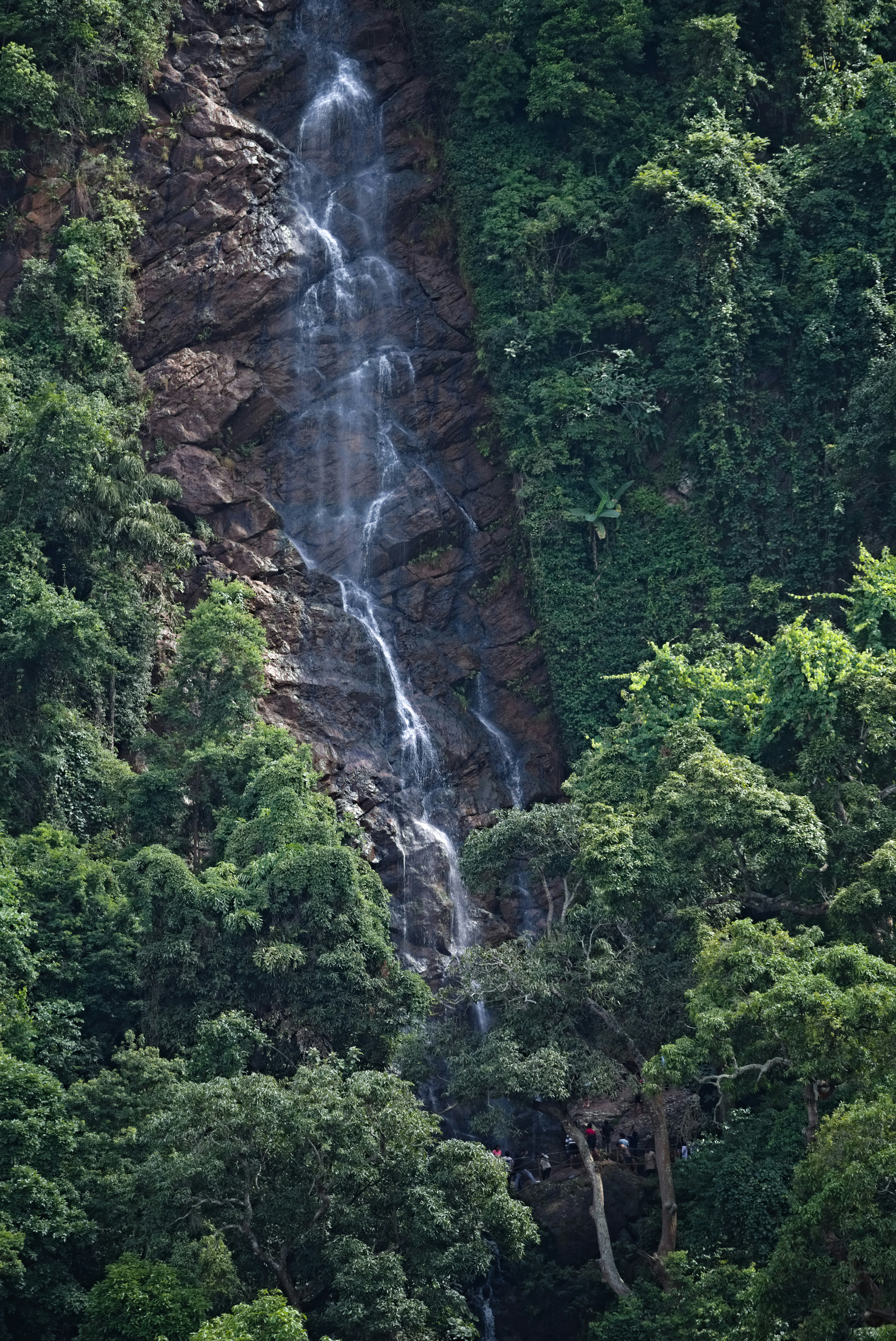 Waterfall cascading down a rocky cliff surrounded by lush greenery.