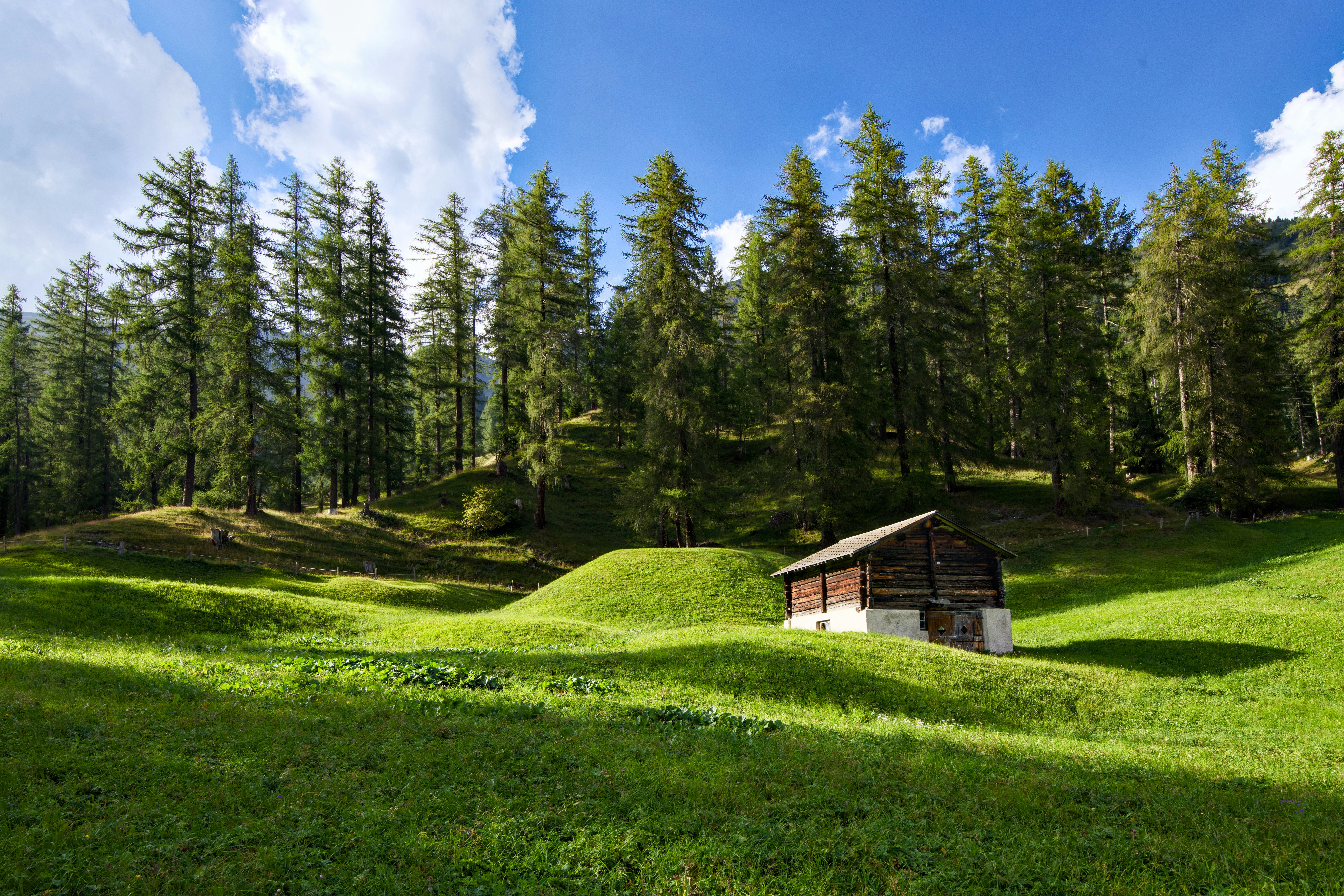 Switzerland Alps | Wooden cabin nestled in a green meadow with pine trees