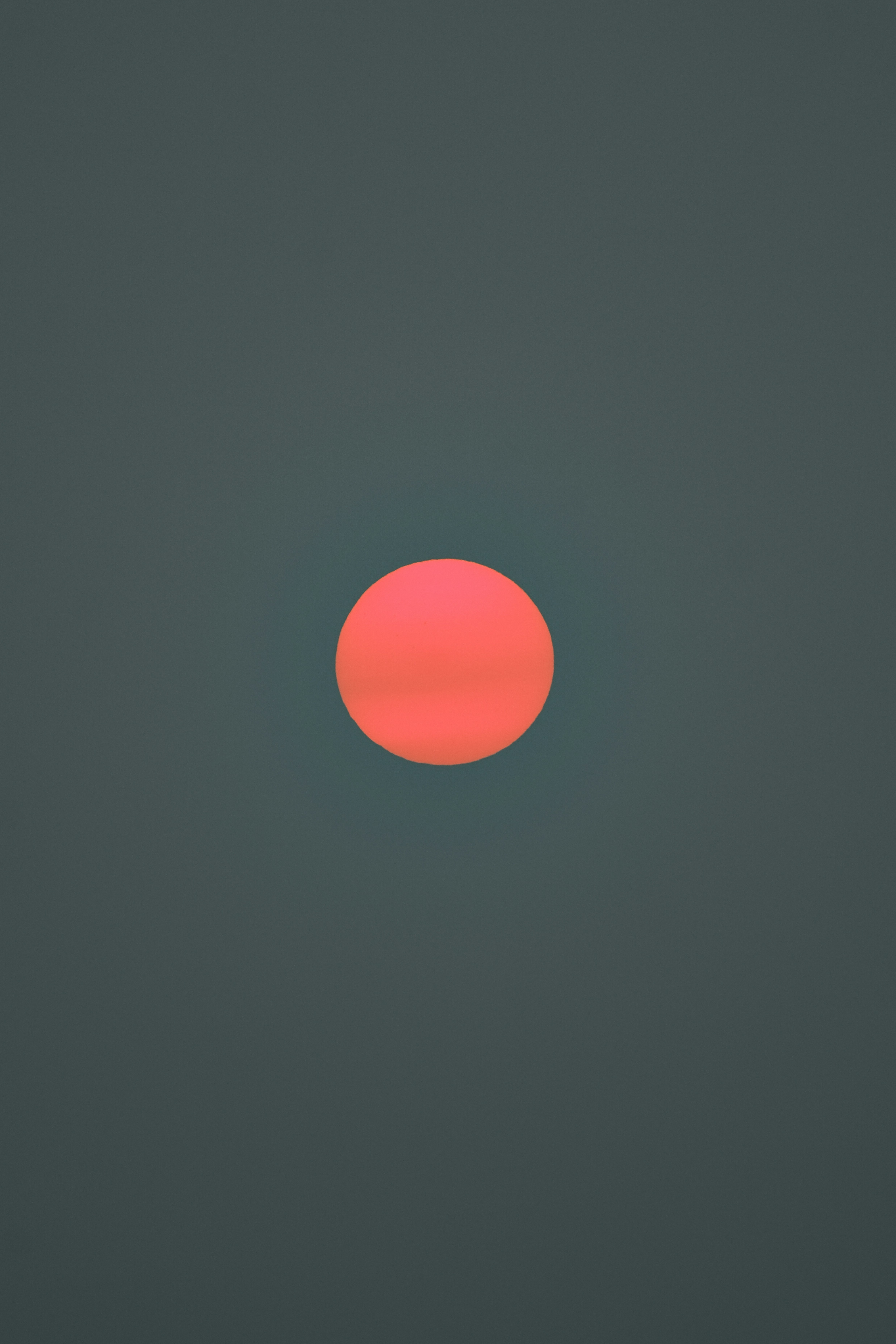 Dusk's Gentle Embrace