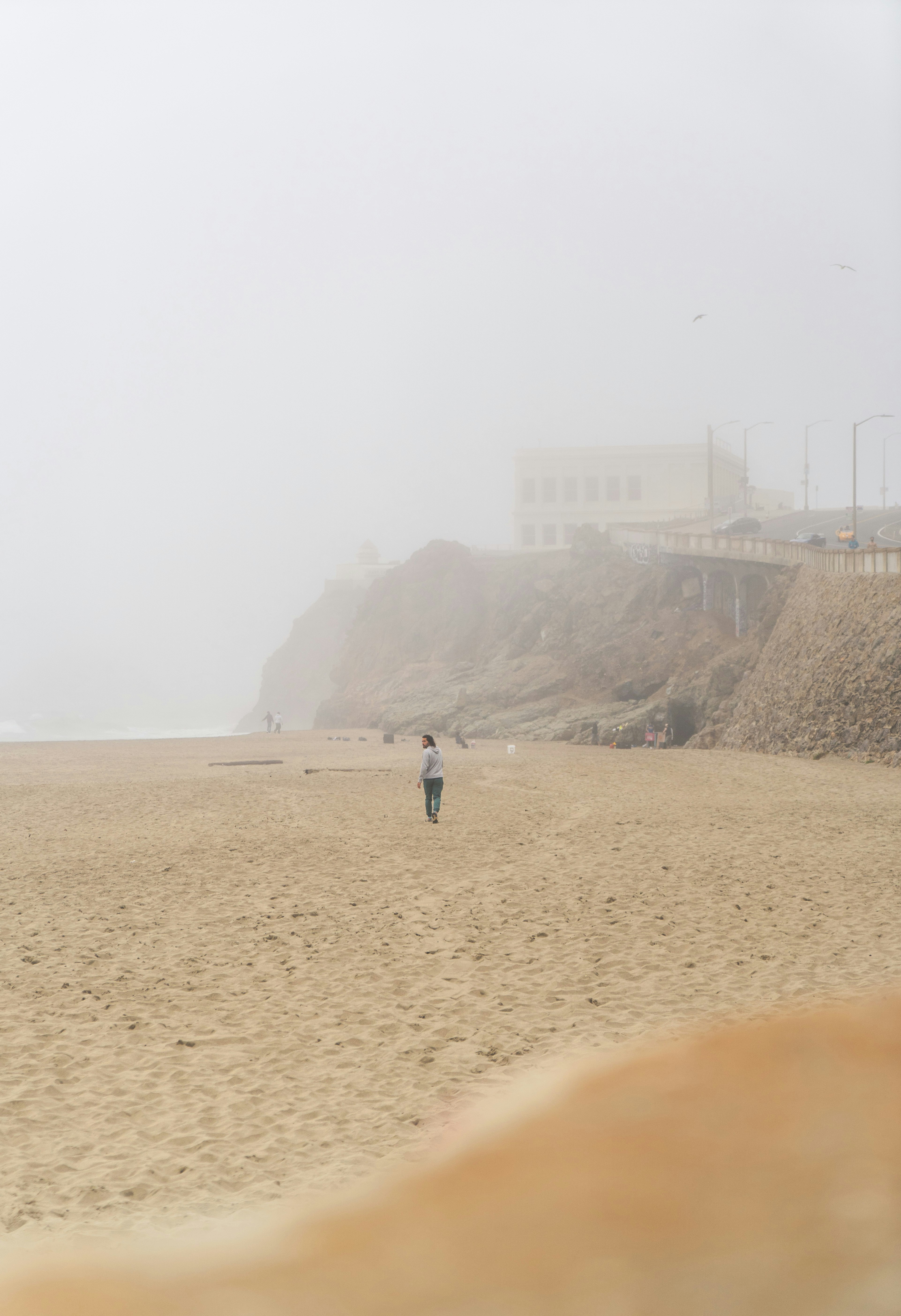Whispers of the Foggy Shoreline