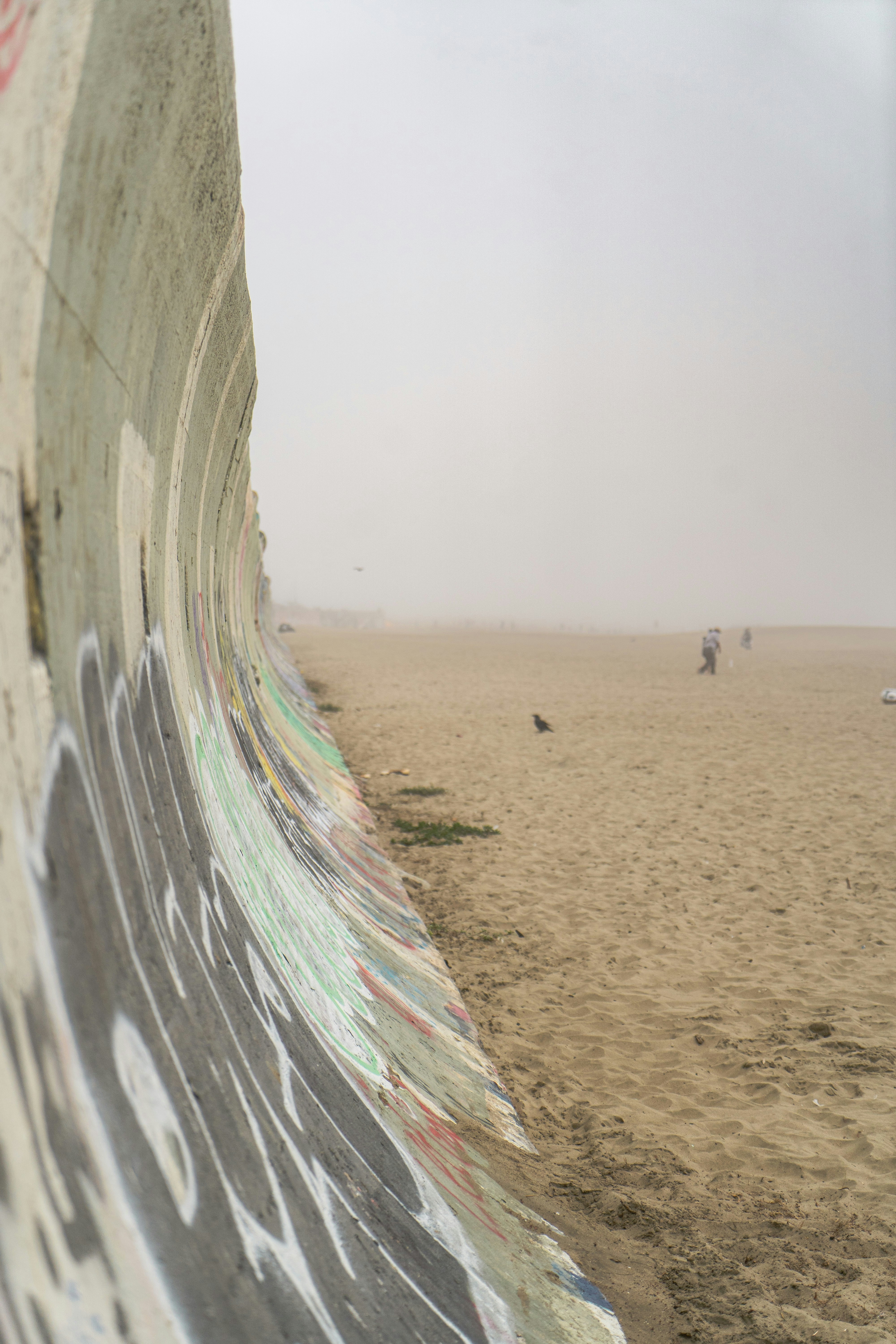 Whispers of the Urban Shoreline