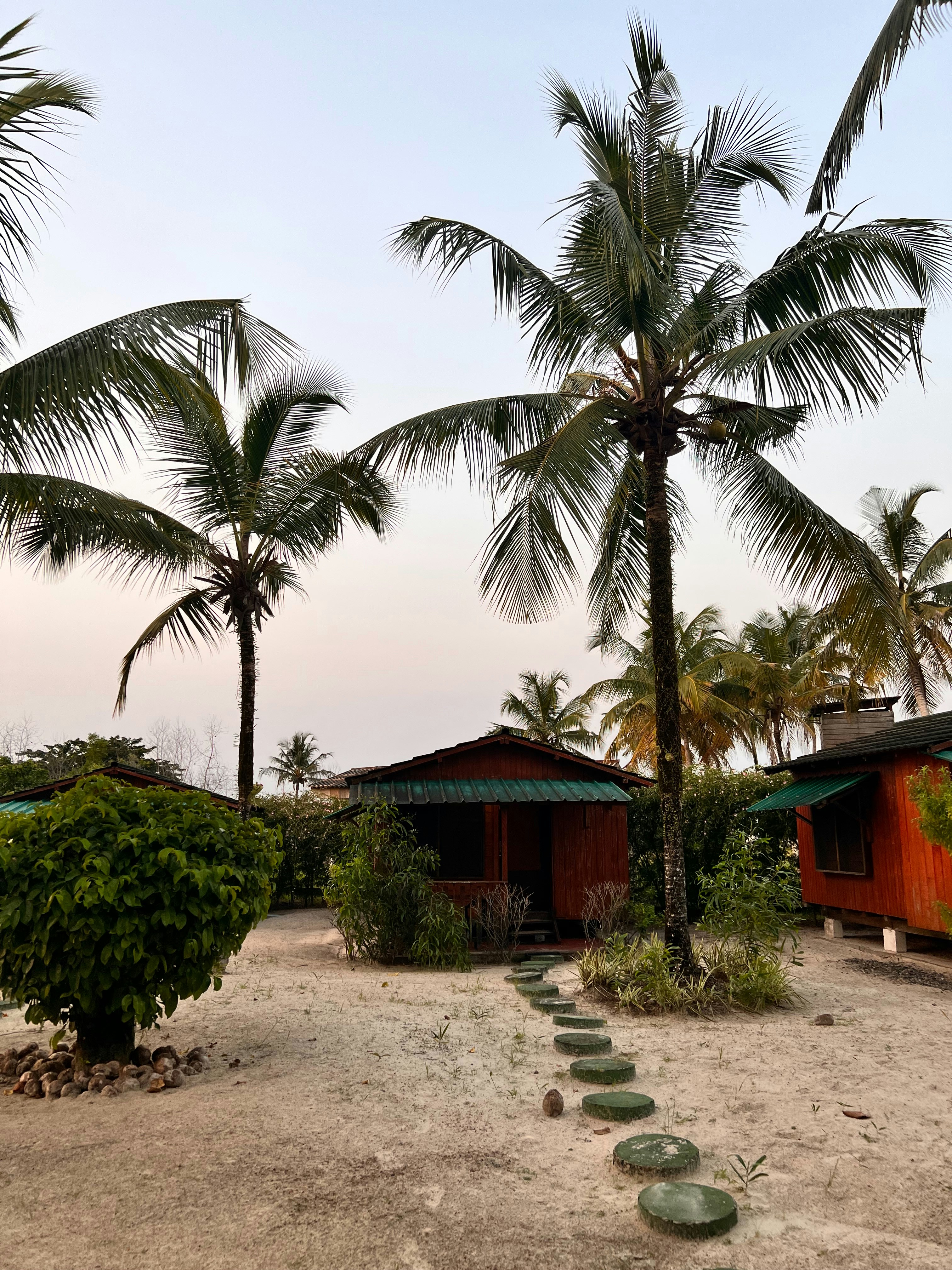 Tropical bungalows surrounded by palm trees and lush greenery