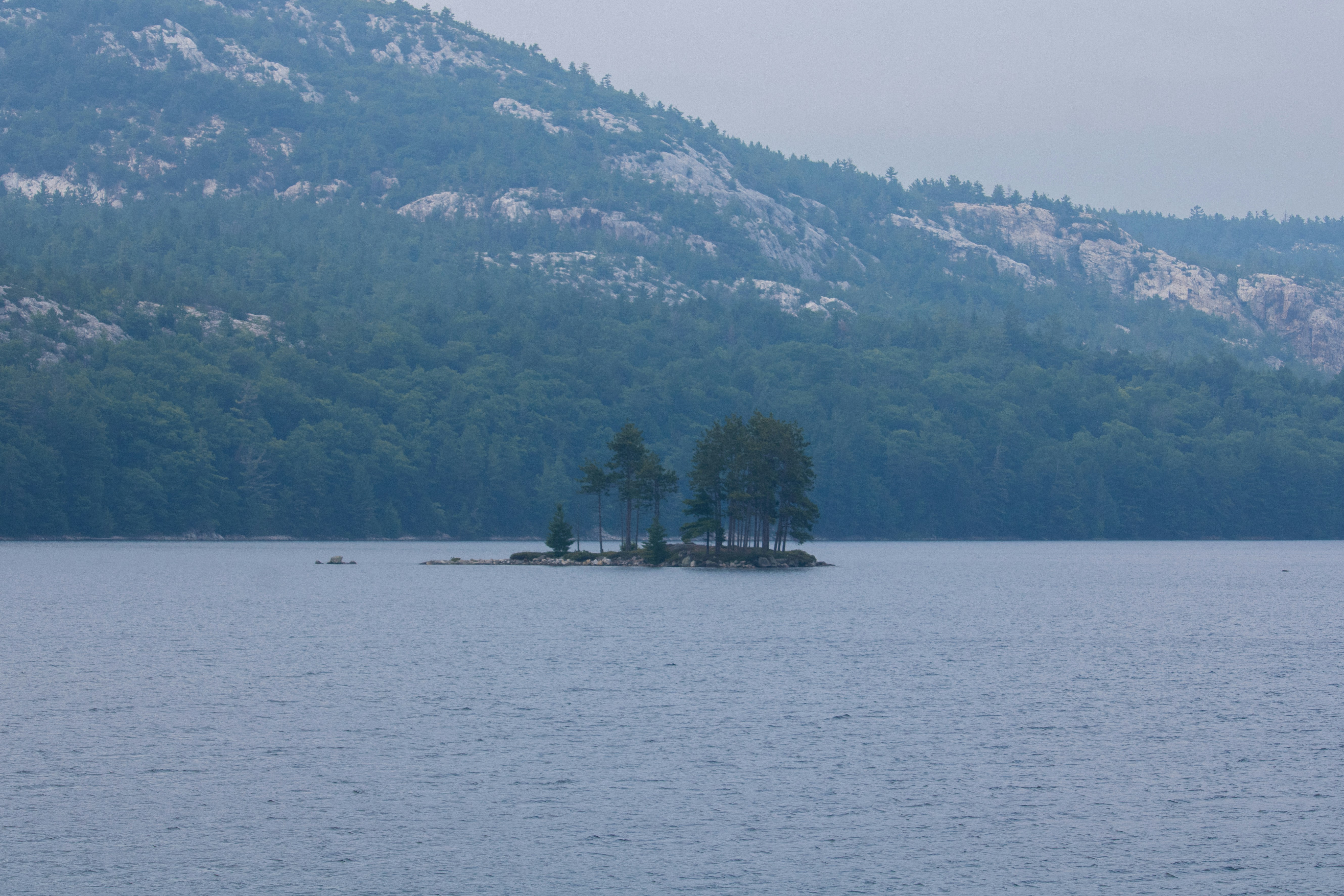 A small island with a cluster of trees surrounded by calm waters, set against a backdrop of rolling hills and rocky terrain. The scene evokes a sense of tranquility.