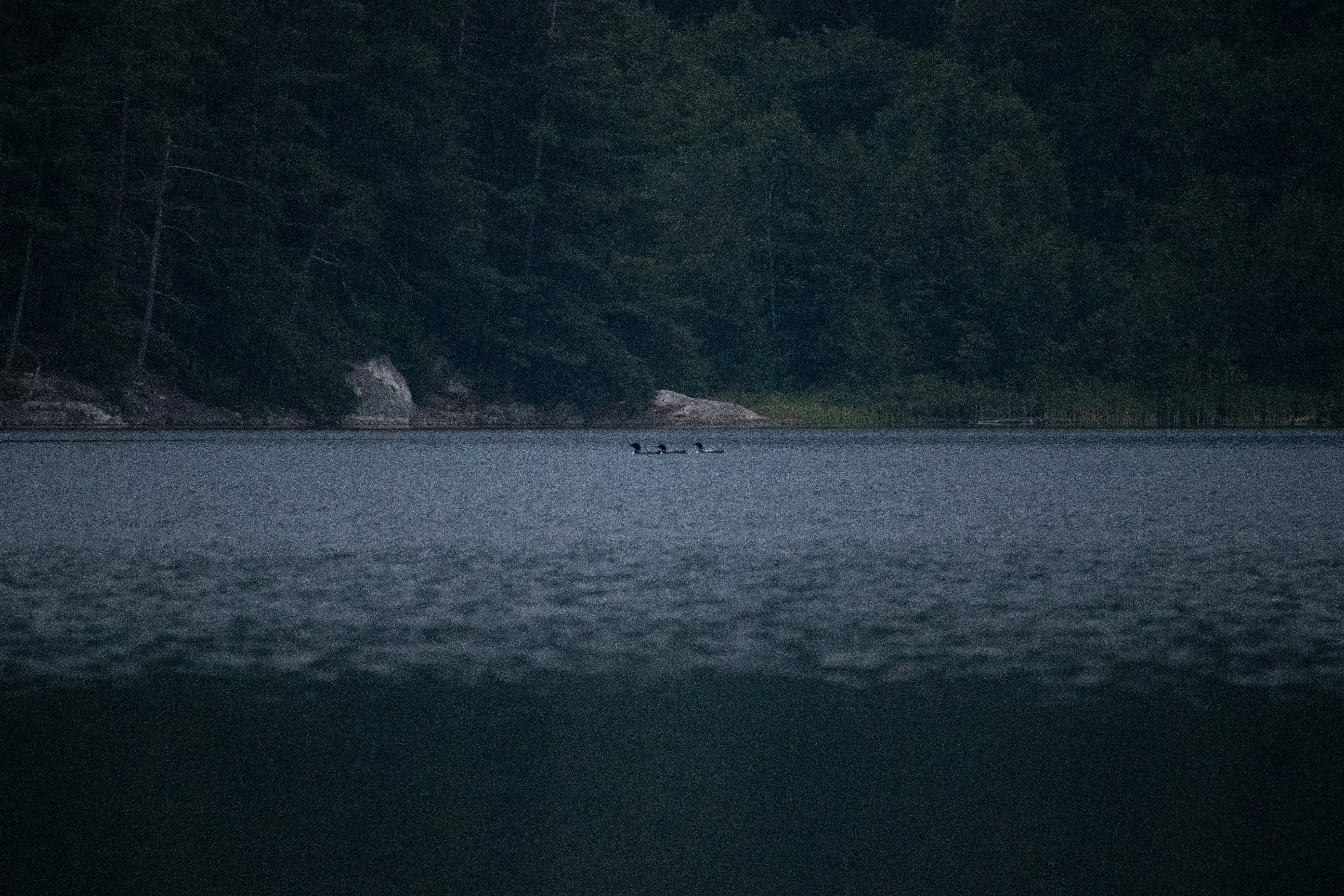 Silent Reflections: A Tranquil Evening on the Water