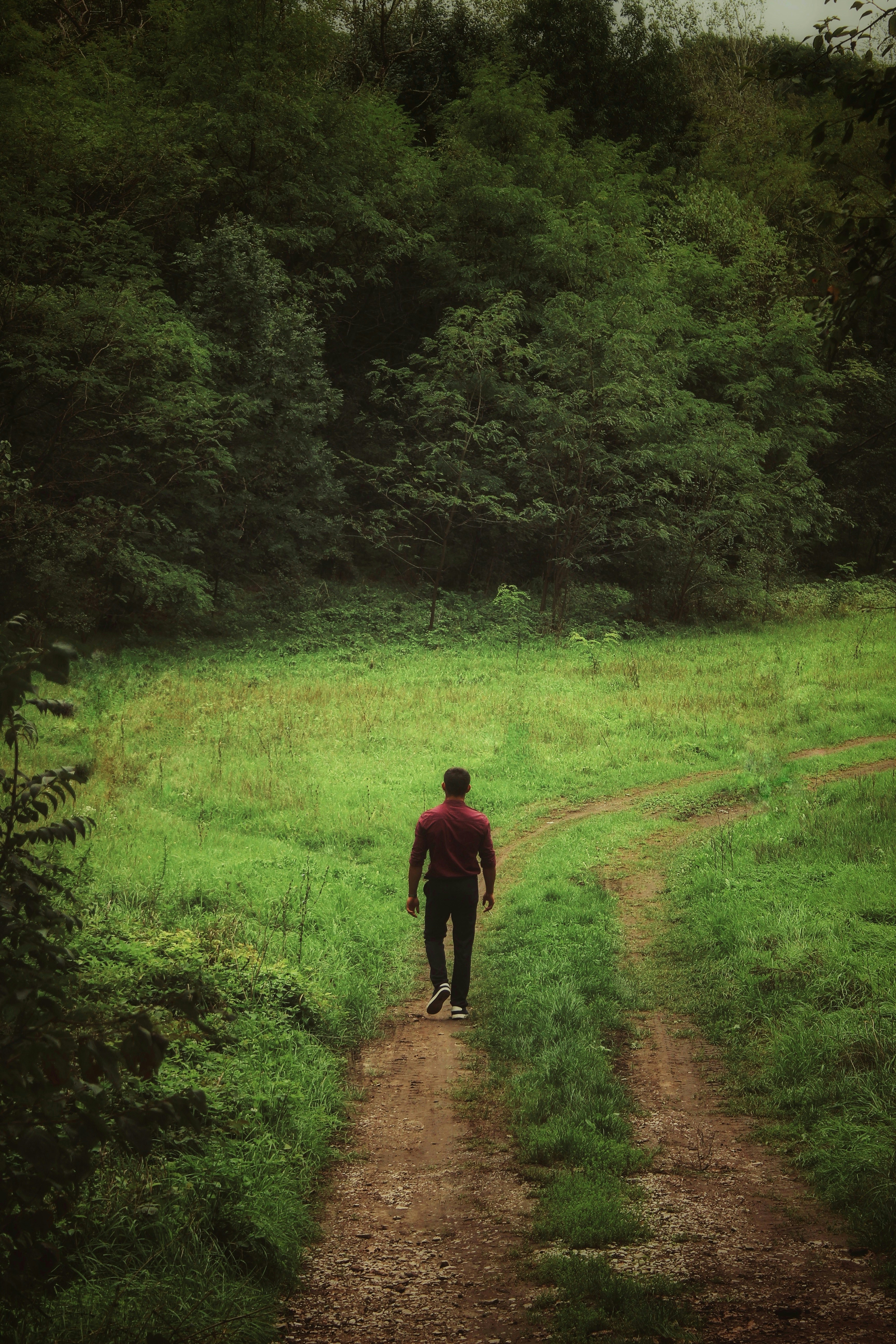 Man walking on a dirt path through green grass.