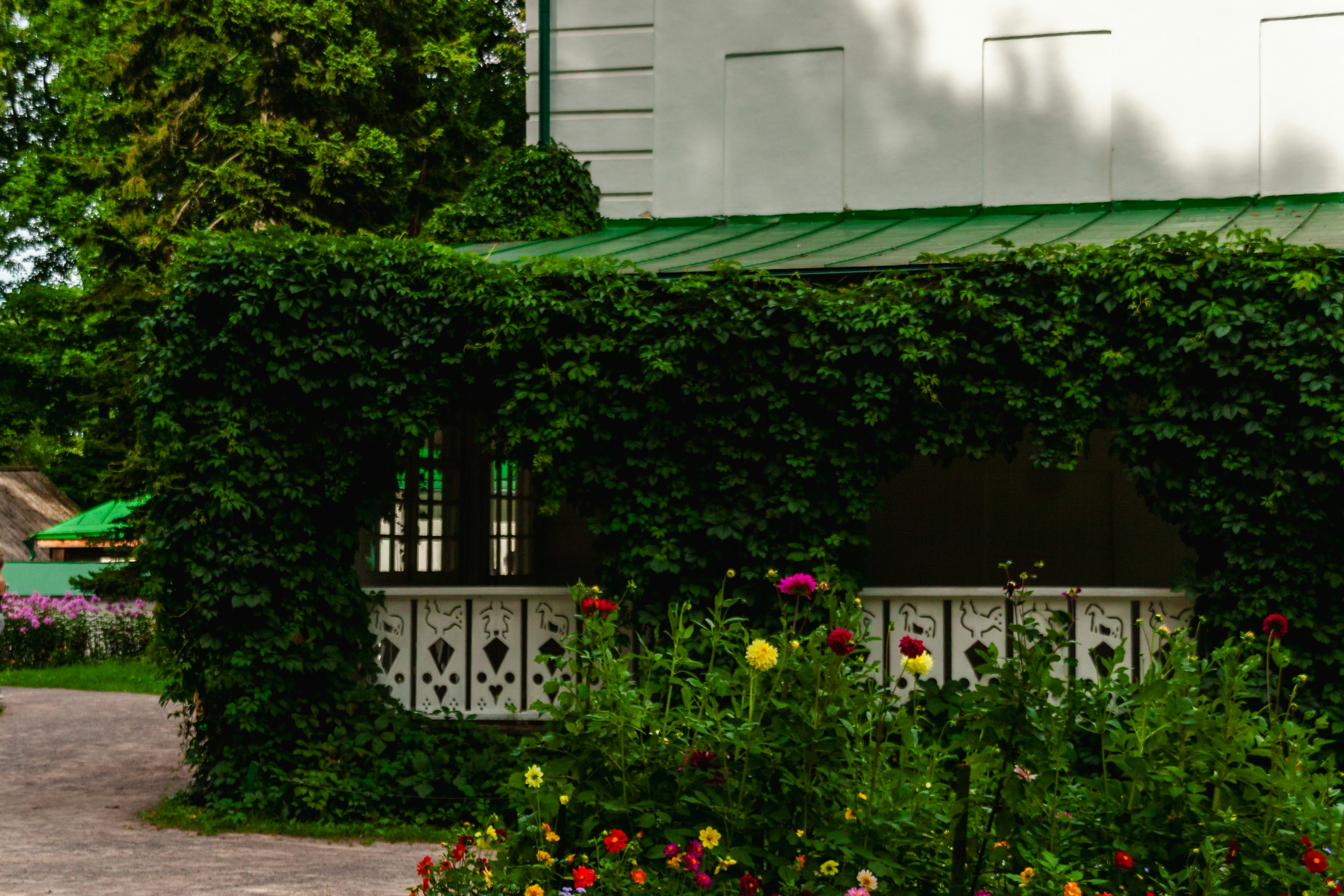 Lush green vines envelop a charming balcony adorned with colorful flowers, showcasing a harmonious blend of nature and architecture.