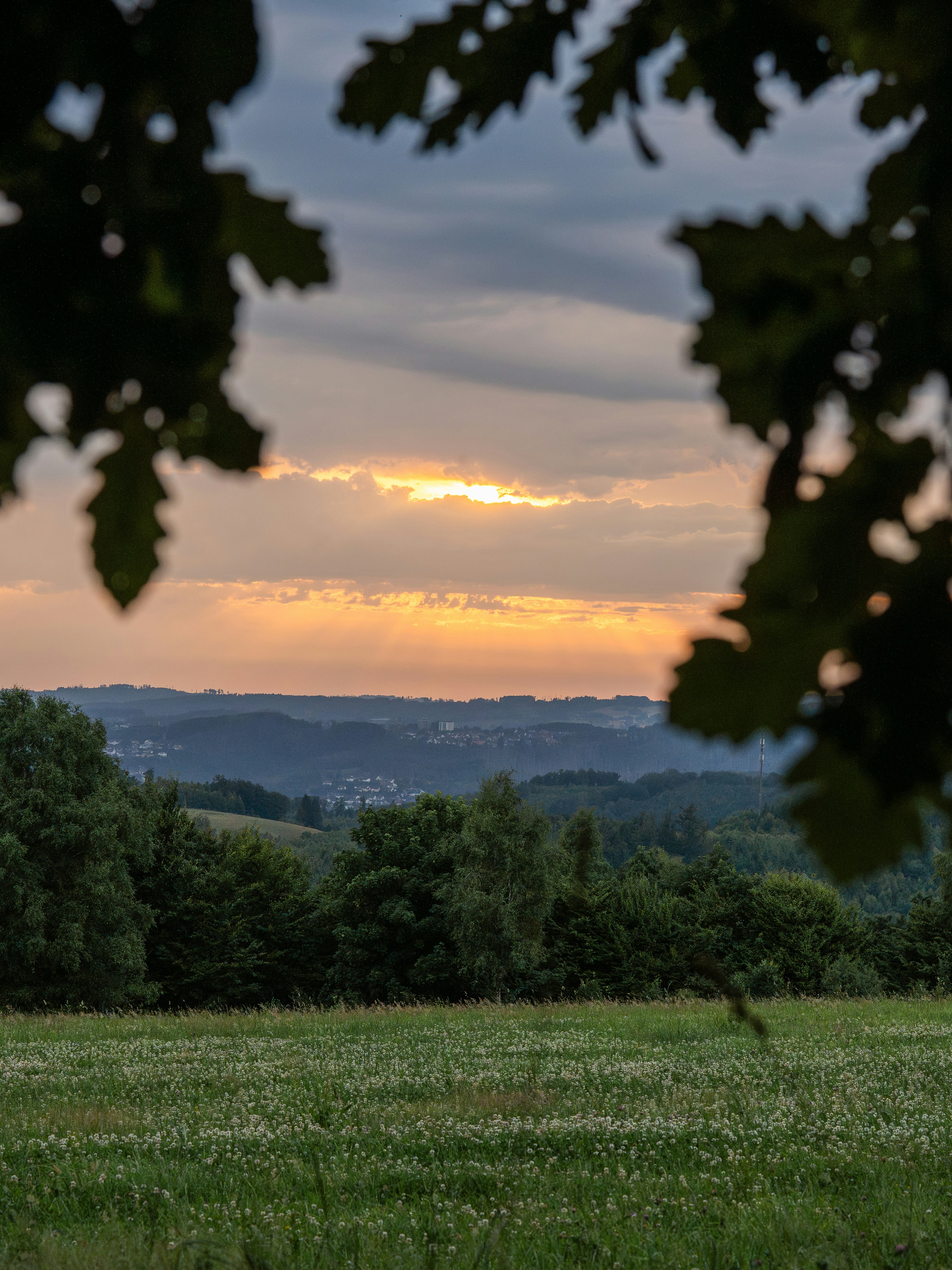 Golden rays of sunset break through clouds, illuminating a serene landscape framed by lush greenery. A tranquil field dotted with wildflowers stretches into the distance.