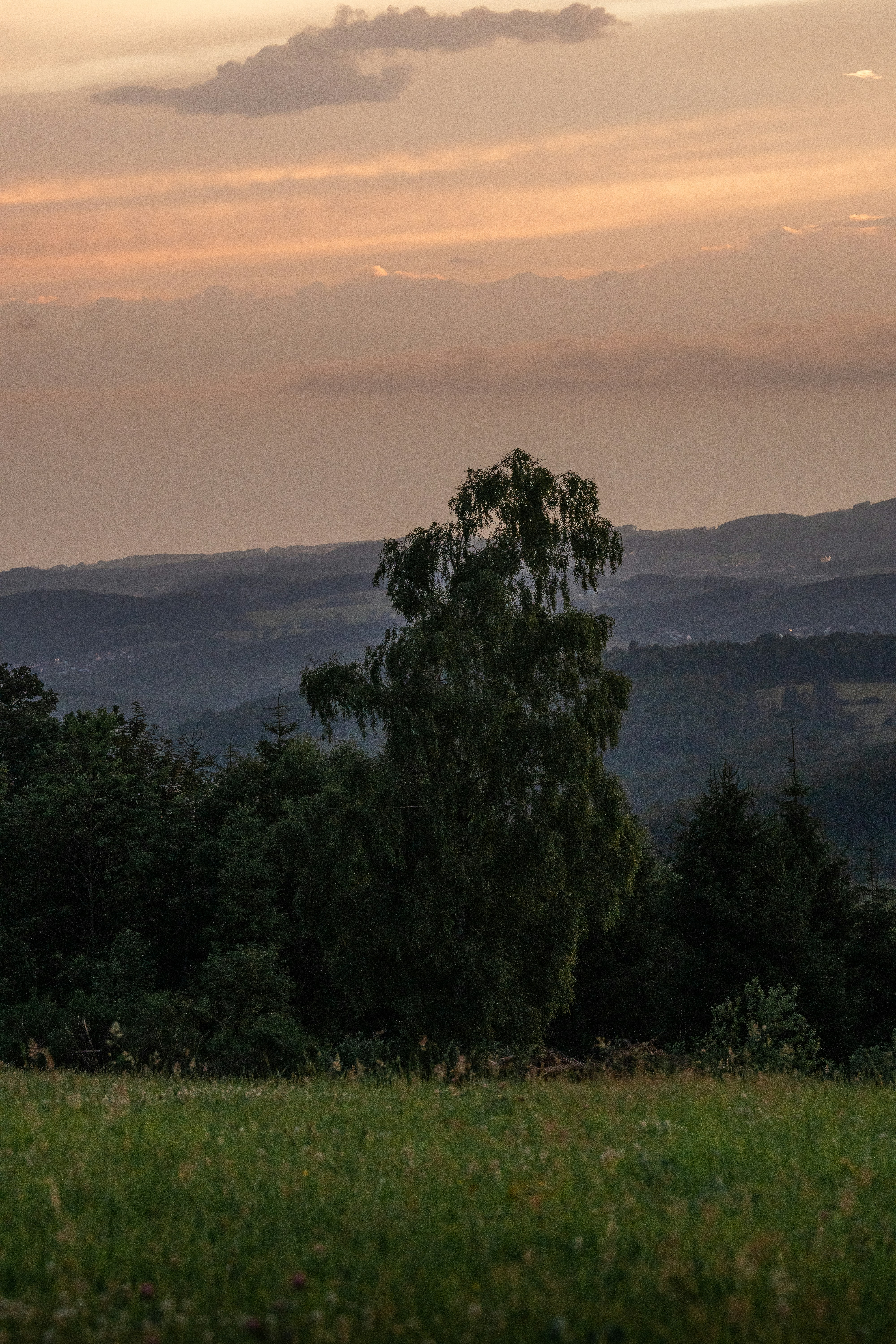 Whispers of Twilight in the Valley