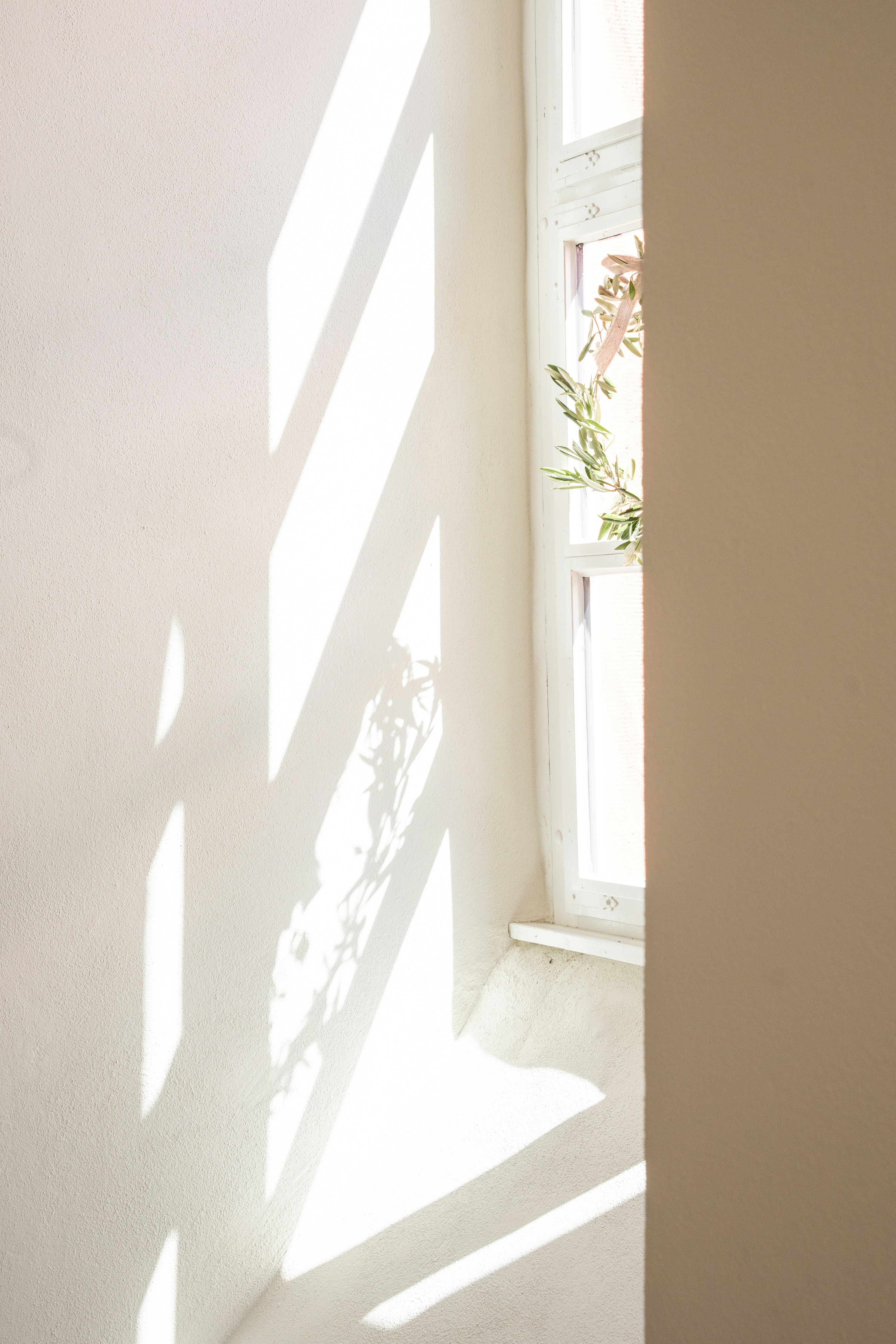 Sunlight streaming through a window onto a wall.