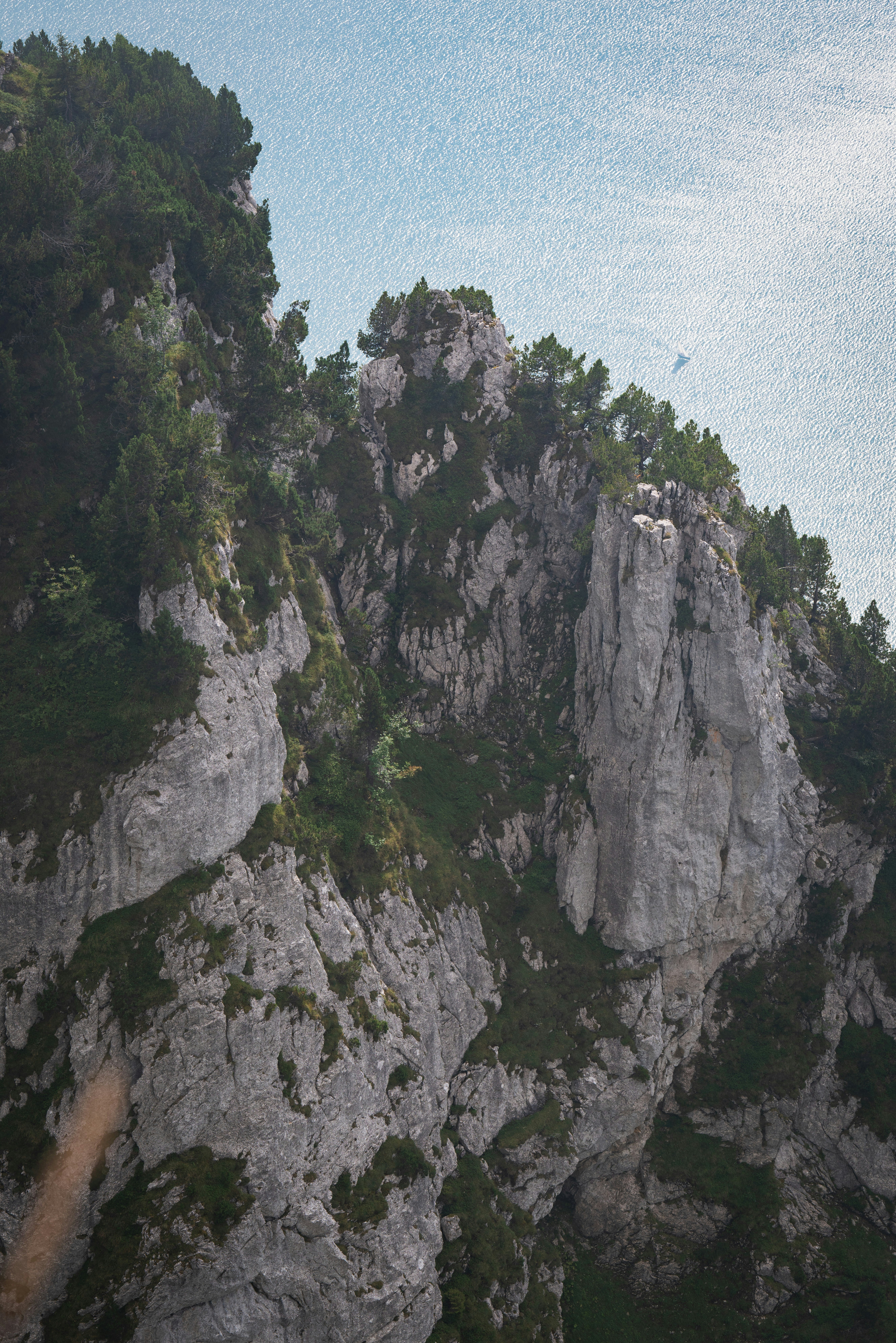 Jagged rocky mountains with scattered trees under sky