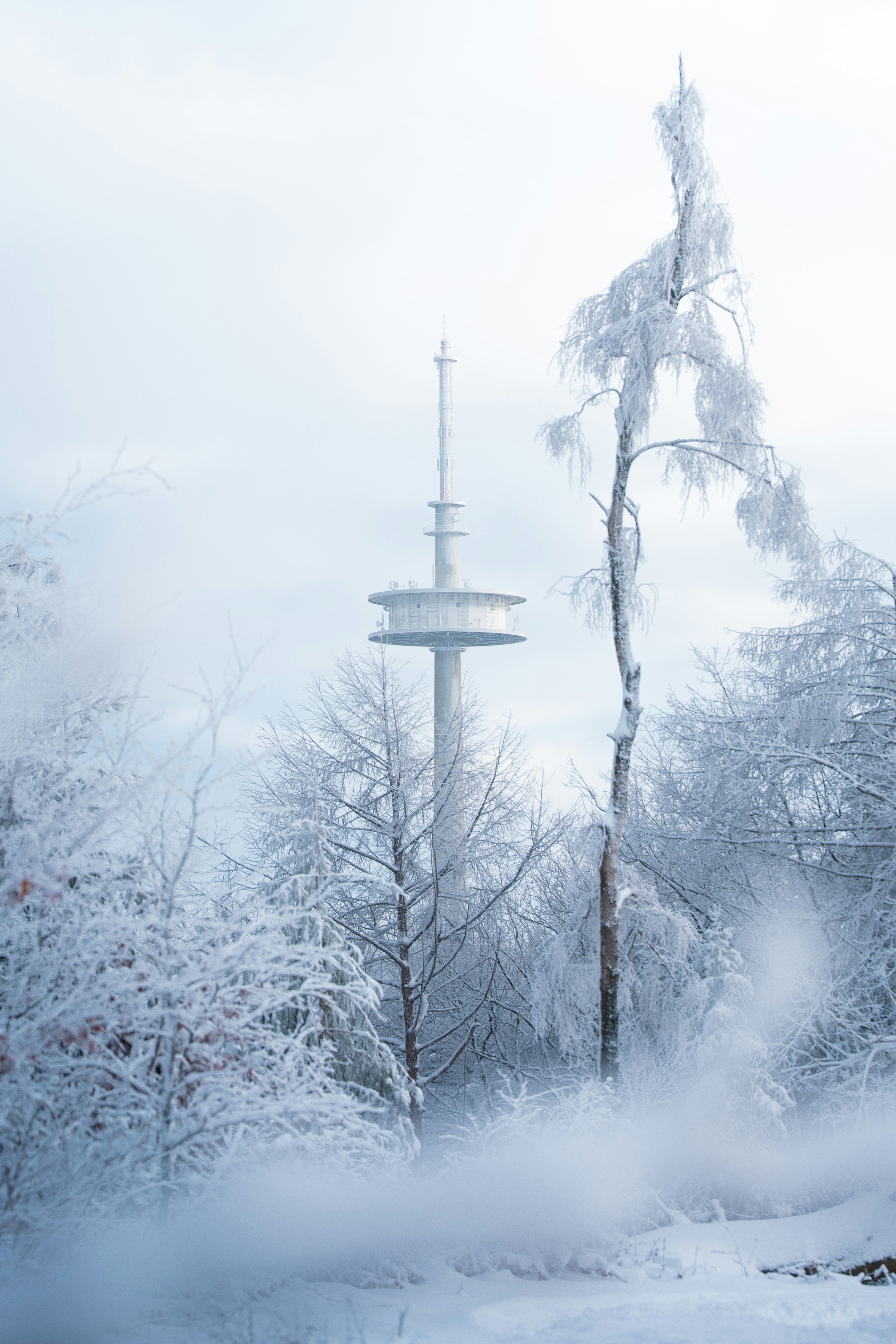 A sleek communication tower rises through a snowy landscape, framed by frost-laden trees. The scene evokes a serene winter atmosphere.