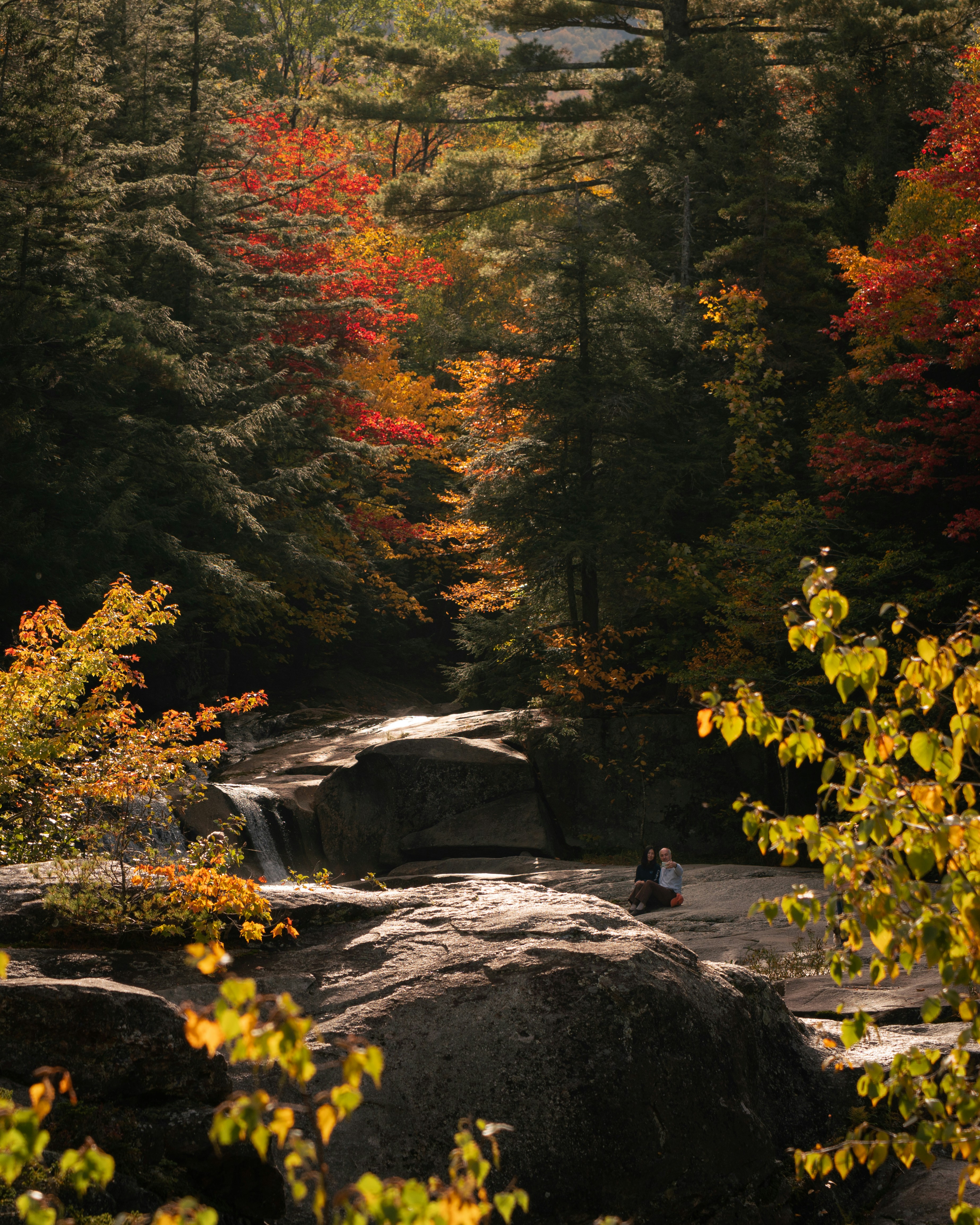 Autumn Quiet: A Woodland Rest by the River